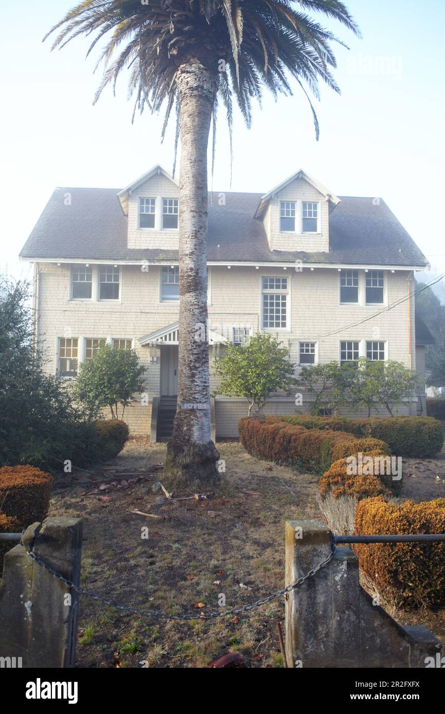 Abandoned house with palm tree in morning mist at Point Reyes ...