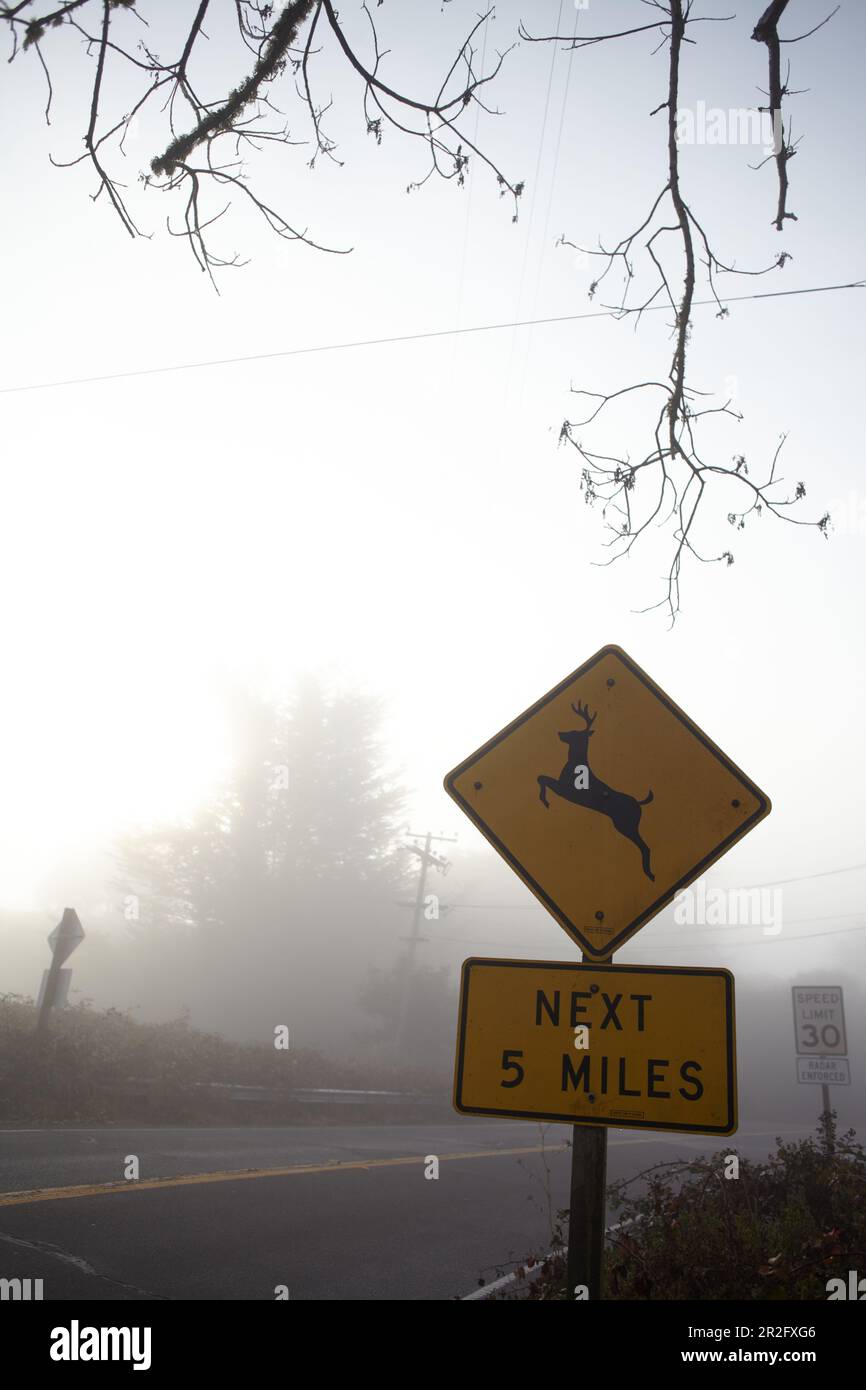 Warning sign for deer crossing in the morning mist at Point Reyes ...
