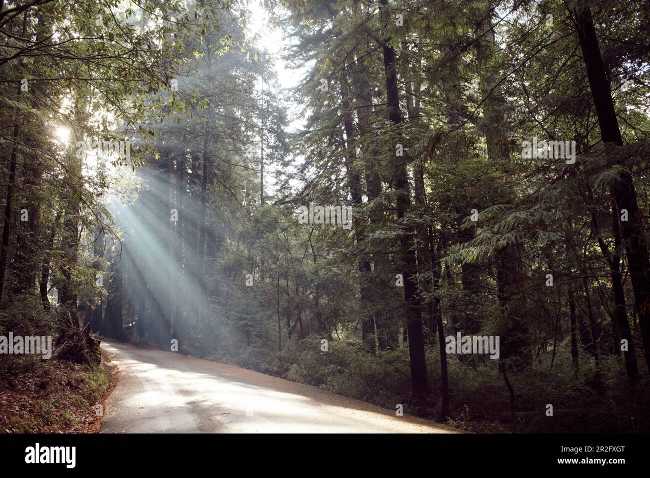 Well lit road hi-res stock photography and images - Alamy