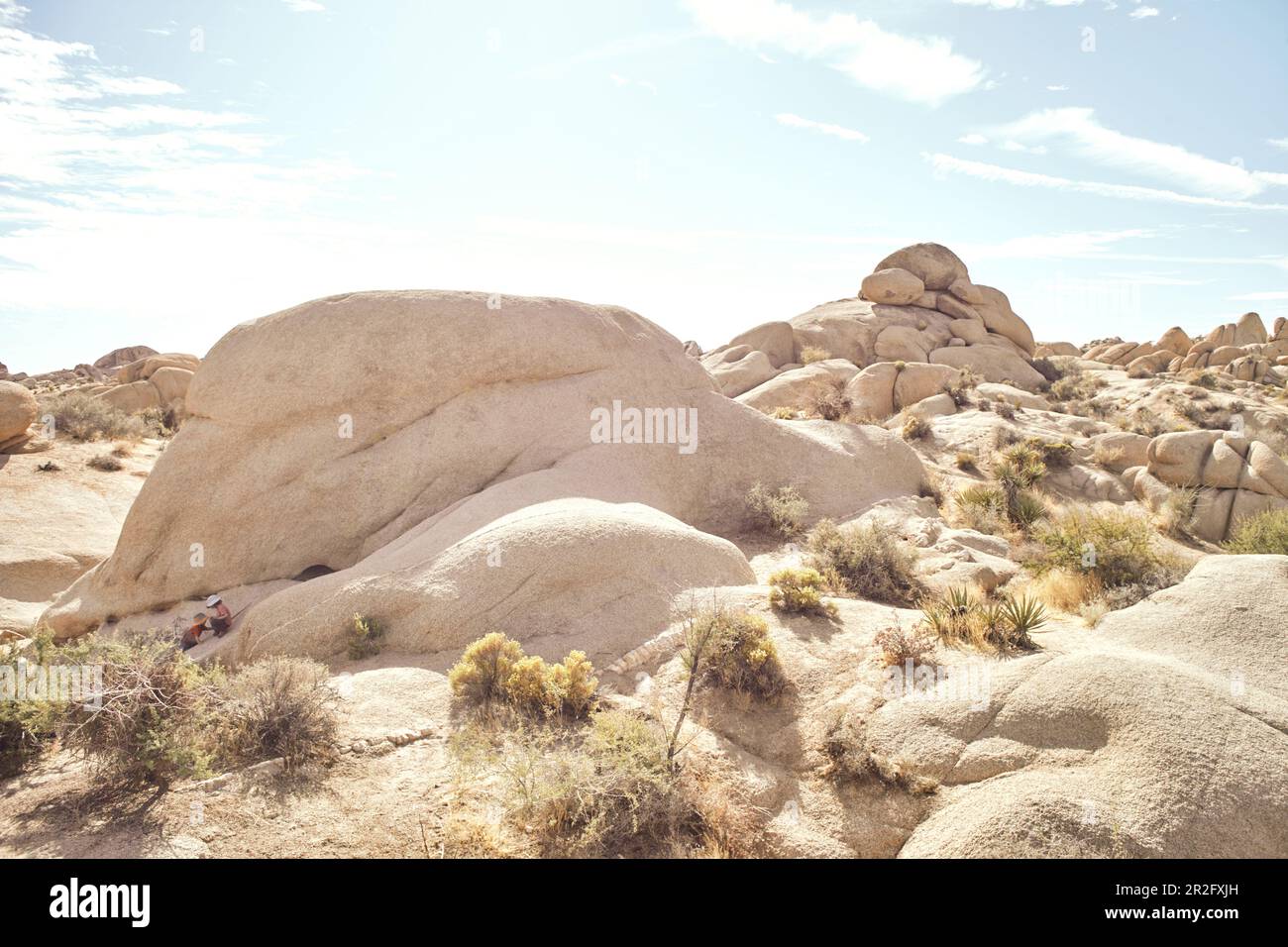 Jumbo Rocks rock landscape with two children in Joshua Tree Park ...