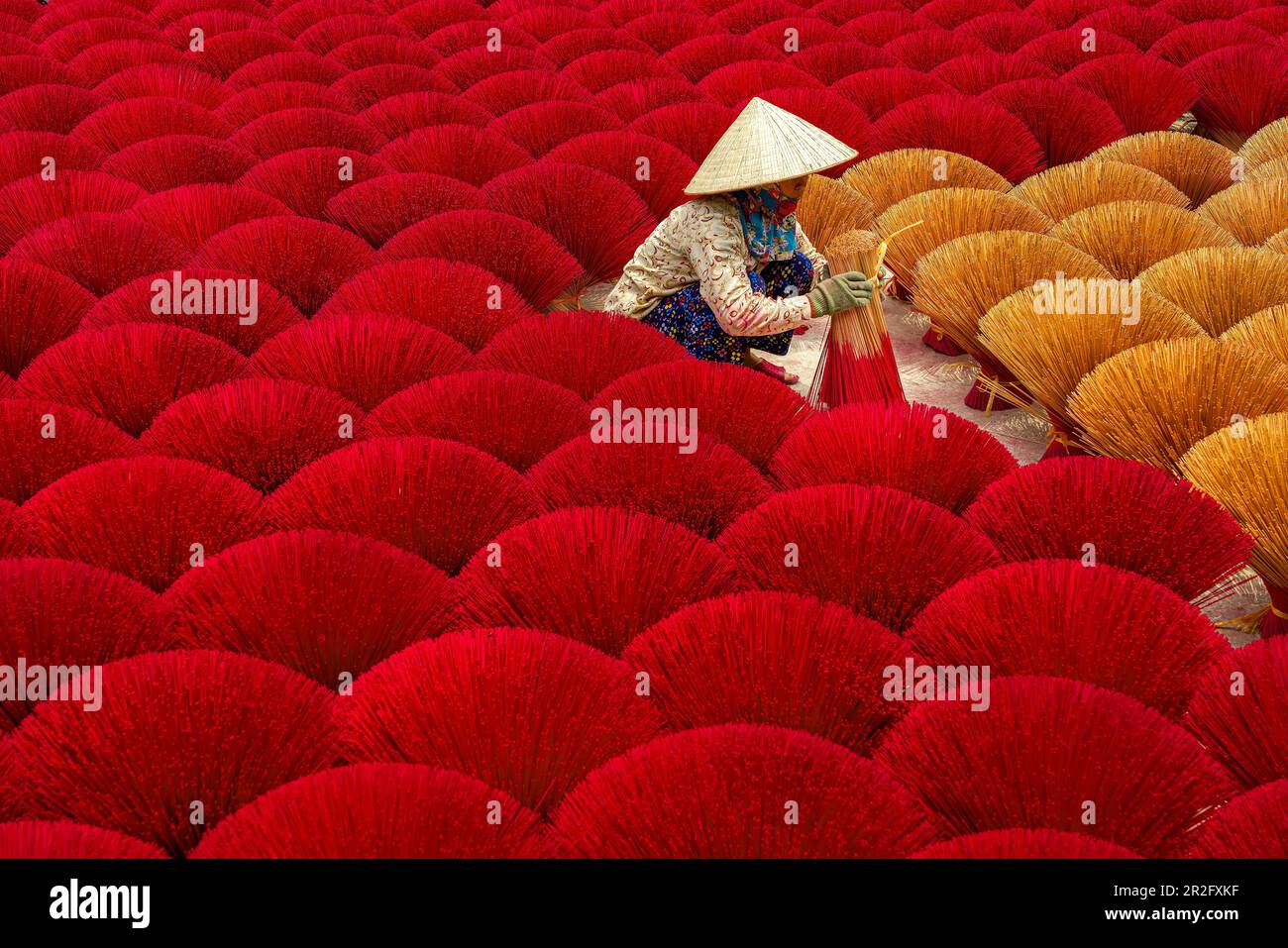 Vietnamese woman making incense sticks for the Tet festivities, the New ...