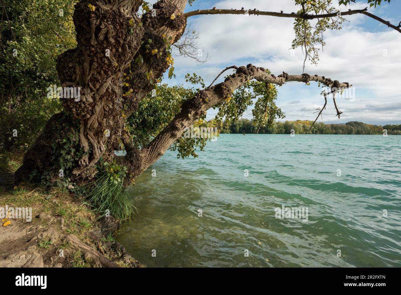 Burkheimer baggersee hi-res stock photography and images - Alamy