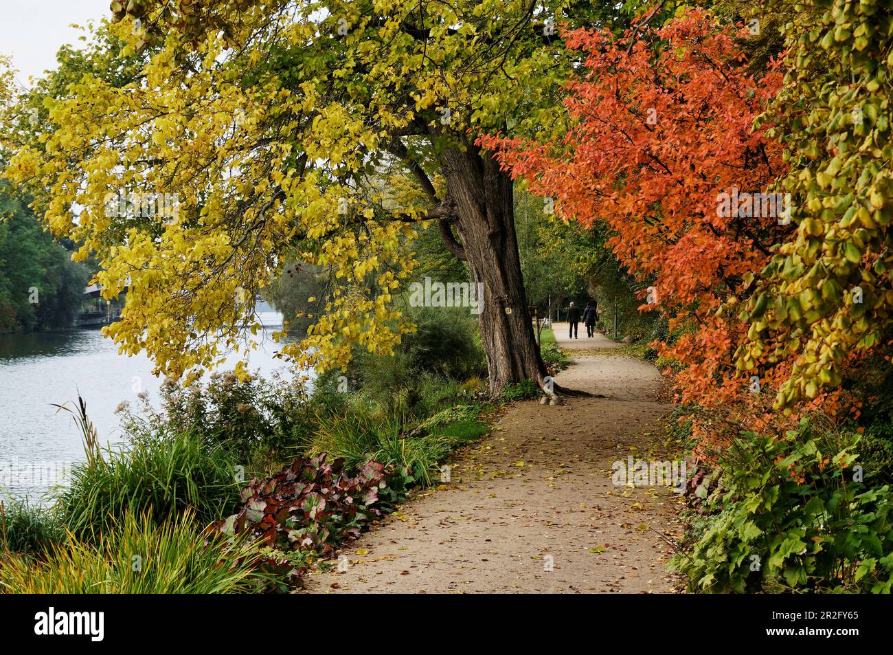 New journey of the Havel, Friendship Island, Potsdam, State of ...