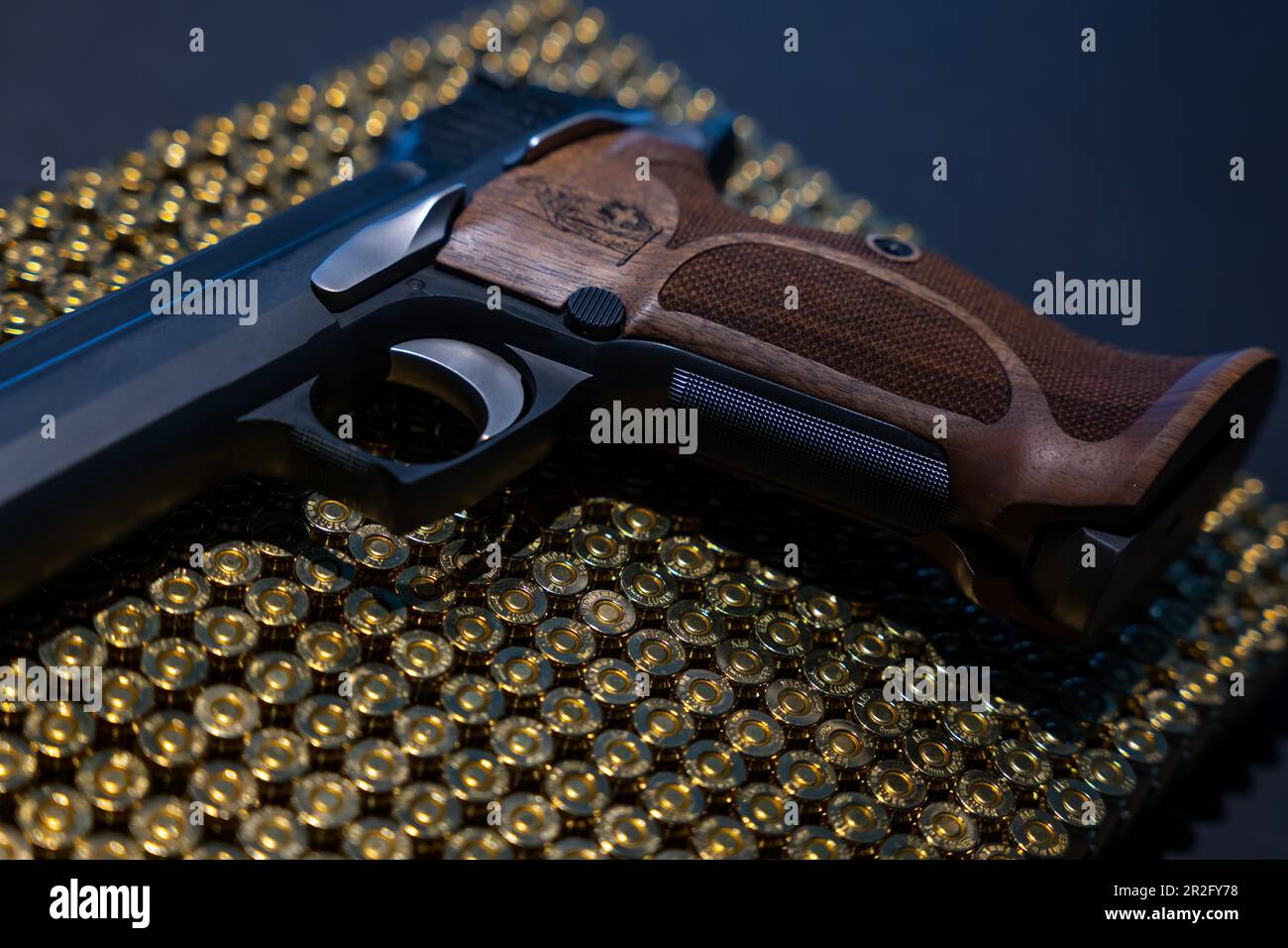 Elegant Semiautomatic 9mm Handgun with Swiss Helvetia Symbol Leaning on ...