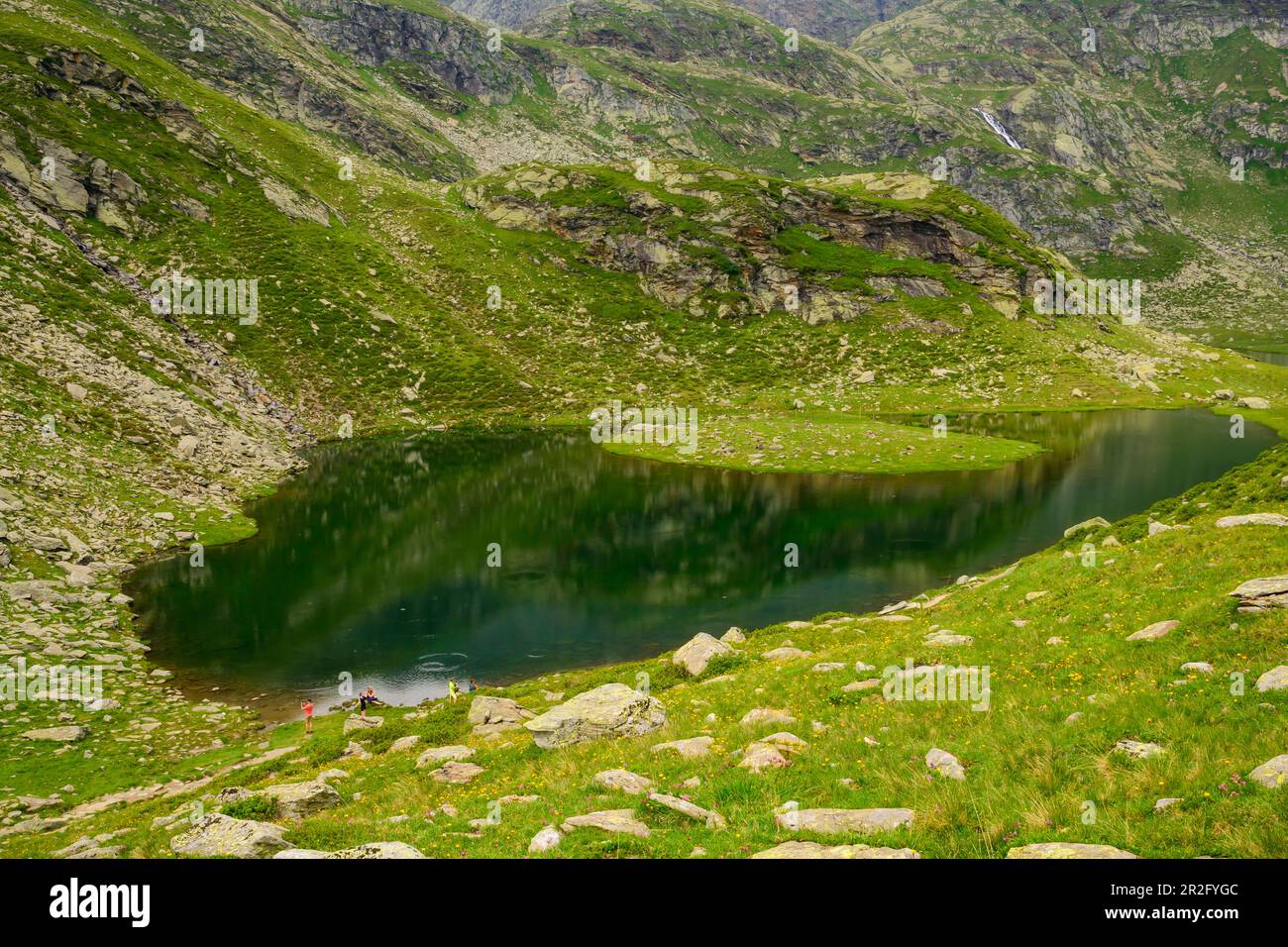 In the South Tyrolean Texel Group Nature Park, the high alpine pastures ...