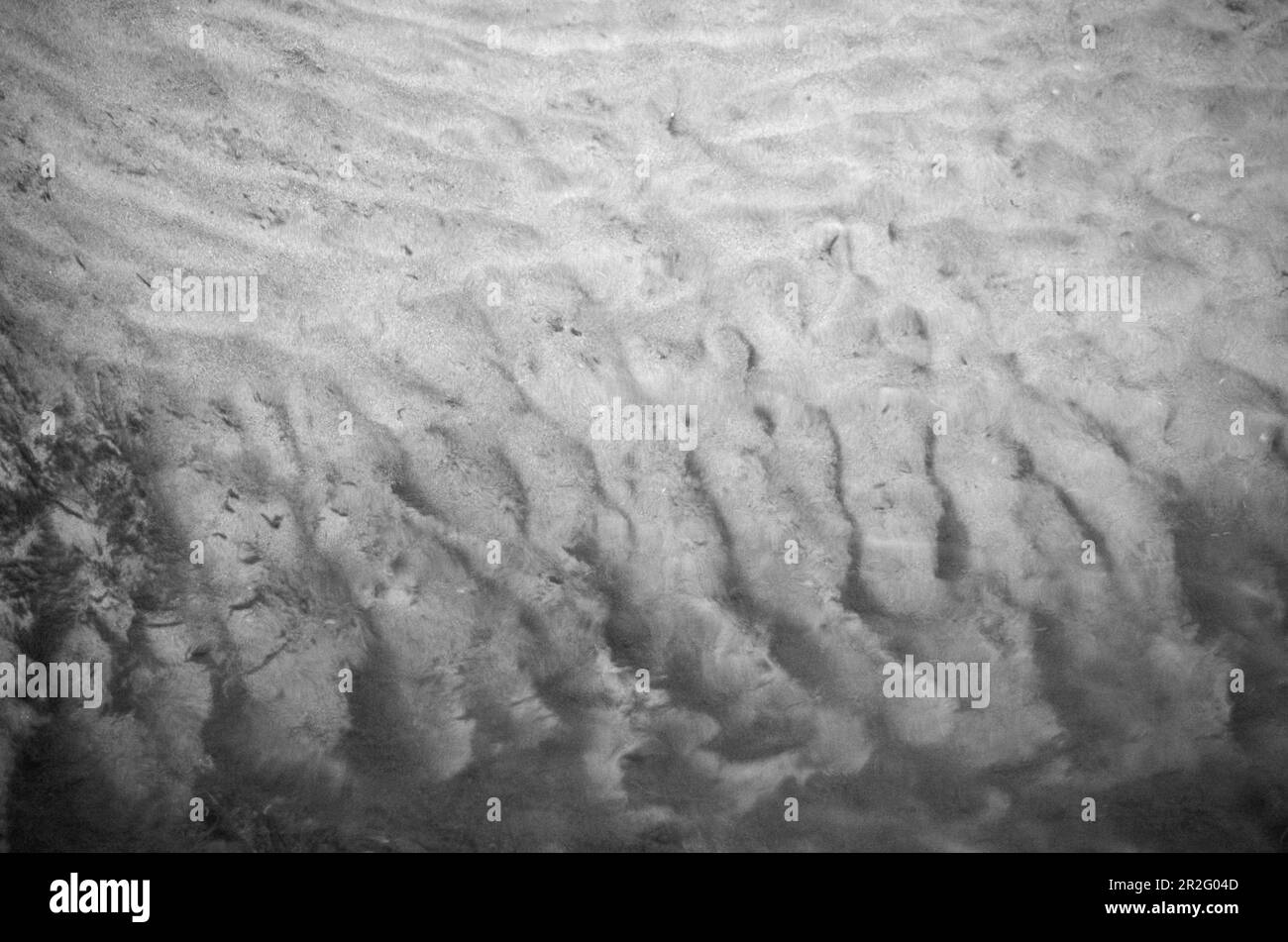 Sandy and loam soil Black and White Stock Photos & Images - Alamy