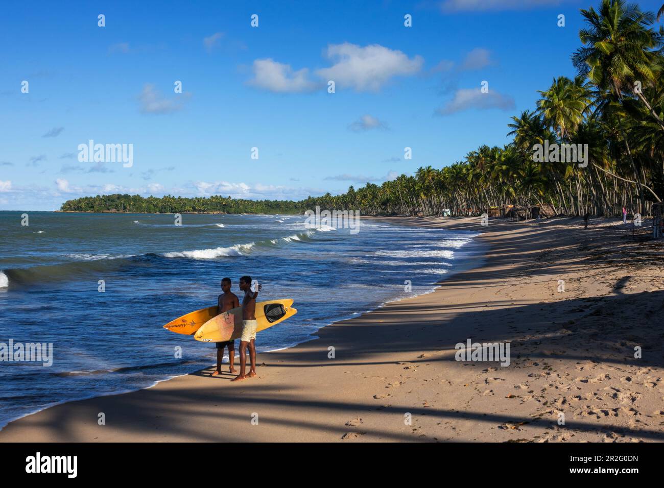 Young men with surfboards on the beach, Praia da Cueira, Boipeba Island ...