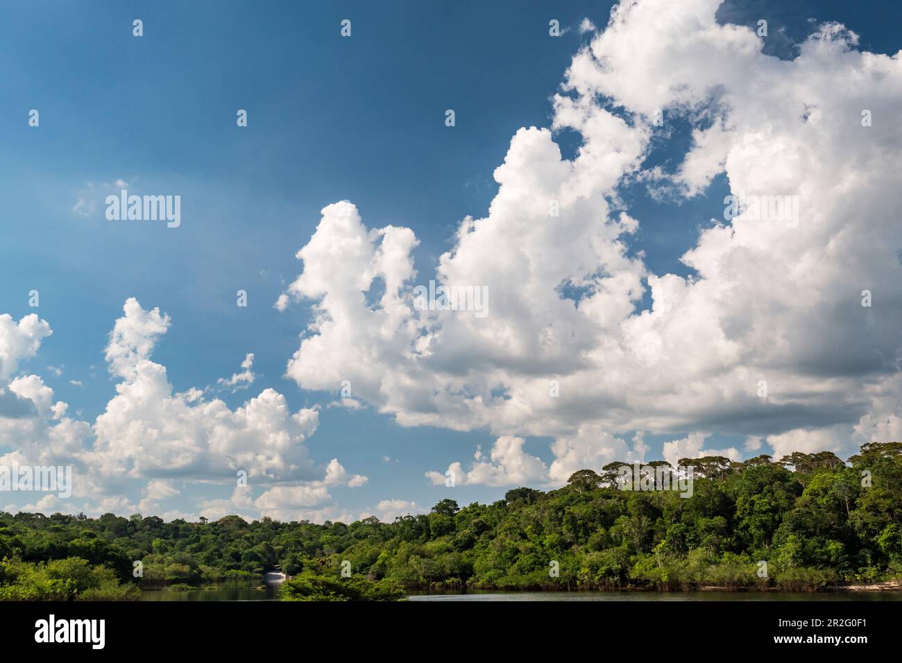 Cumulus clouds over the rainforest on the Amazon near Manaus, Amazon ...