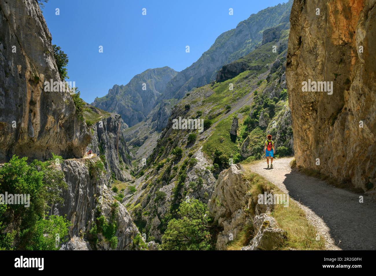 Woman Hiking Through The Ruta Del Cares Gorge Cares Gorge Picos De