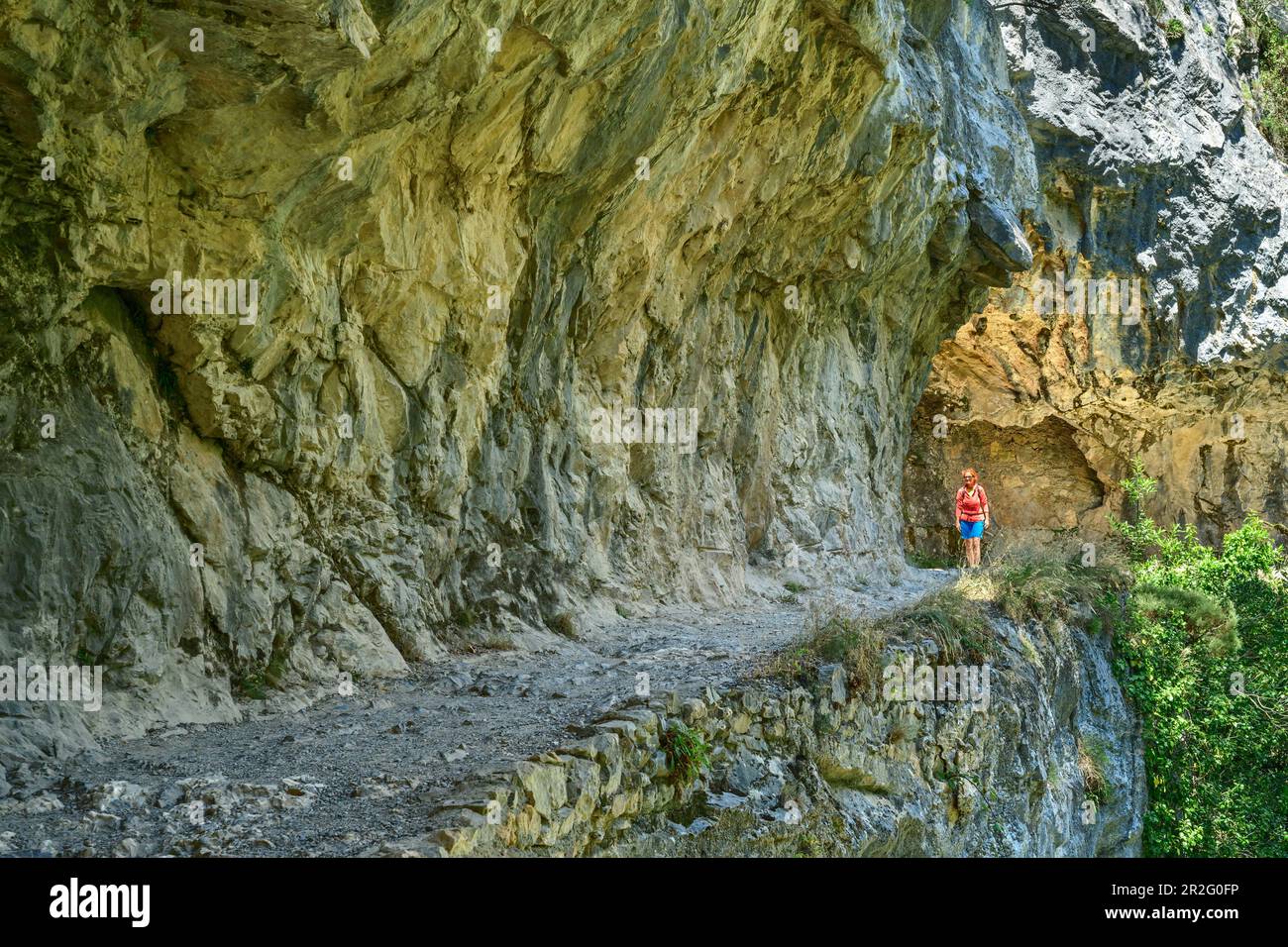 Woman hiking through the Ruta del Cares gorge, Cares Gorge, Picos de ...