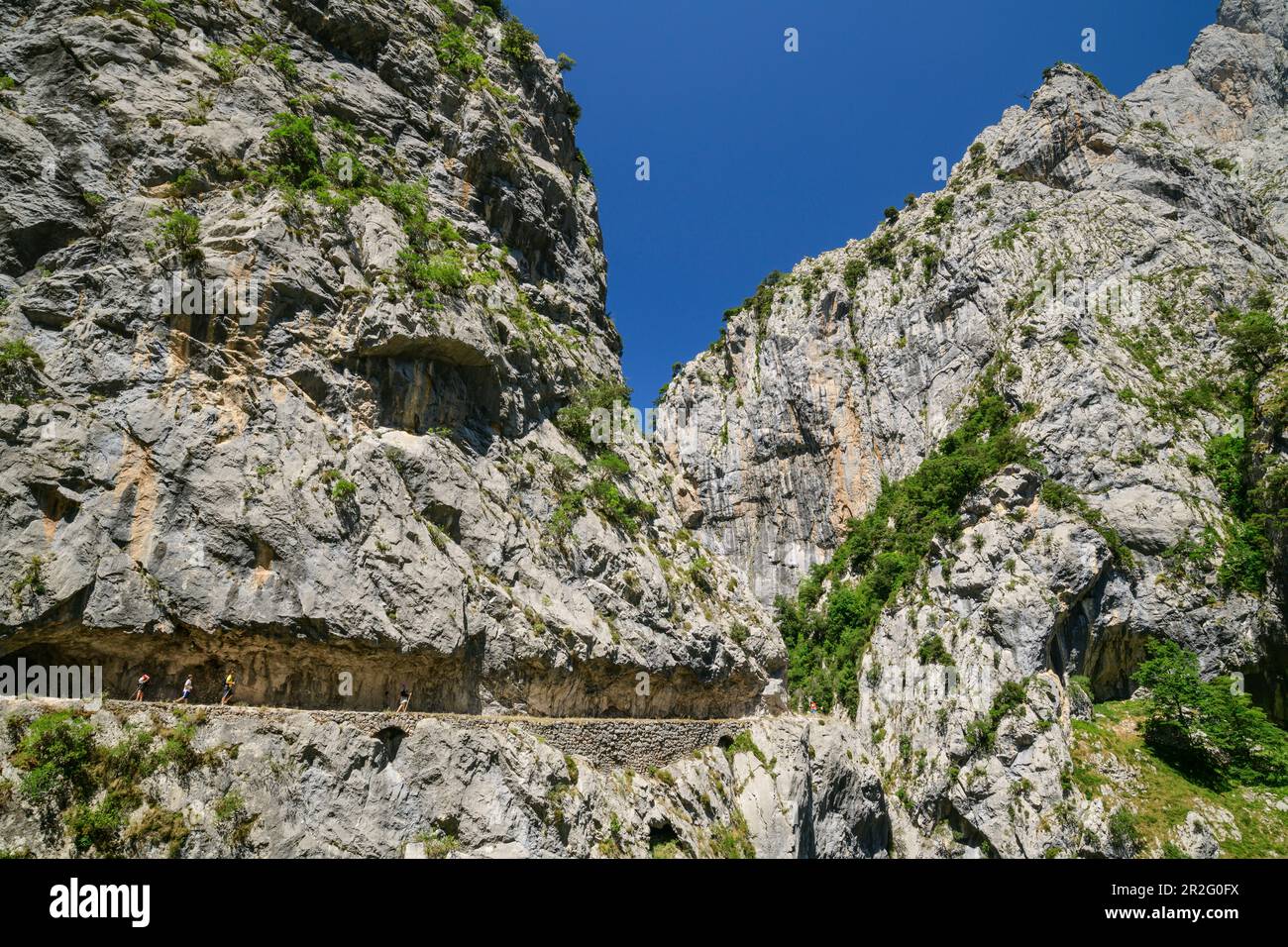 Several people hiking through the Ruta del Cares gorge, Cares Gorge ...