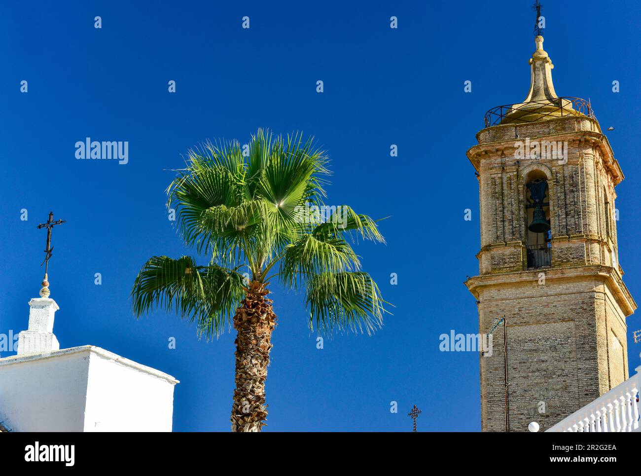 Church tower and palm tree under a wonderful blue sky, near Pilas ...