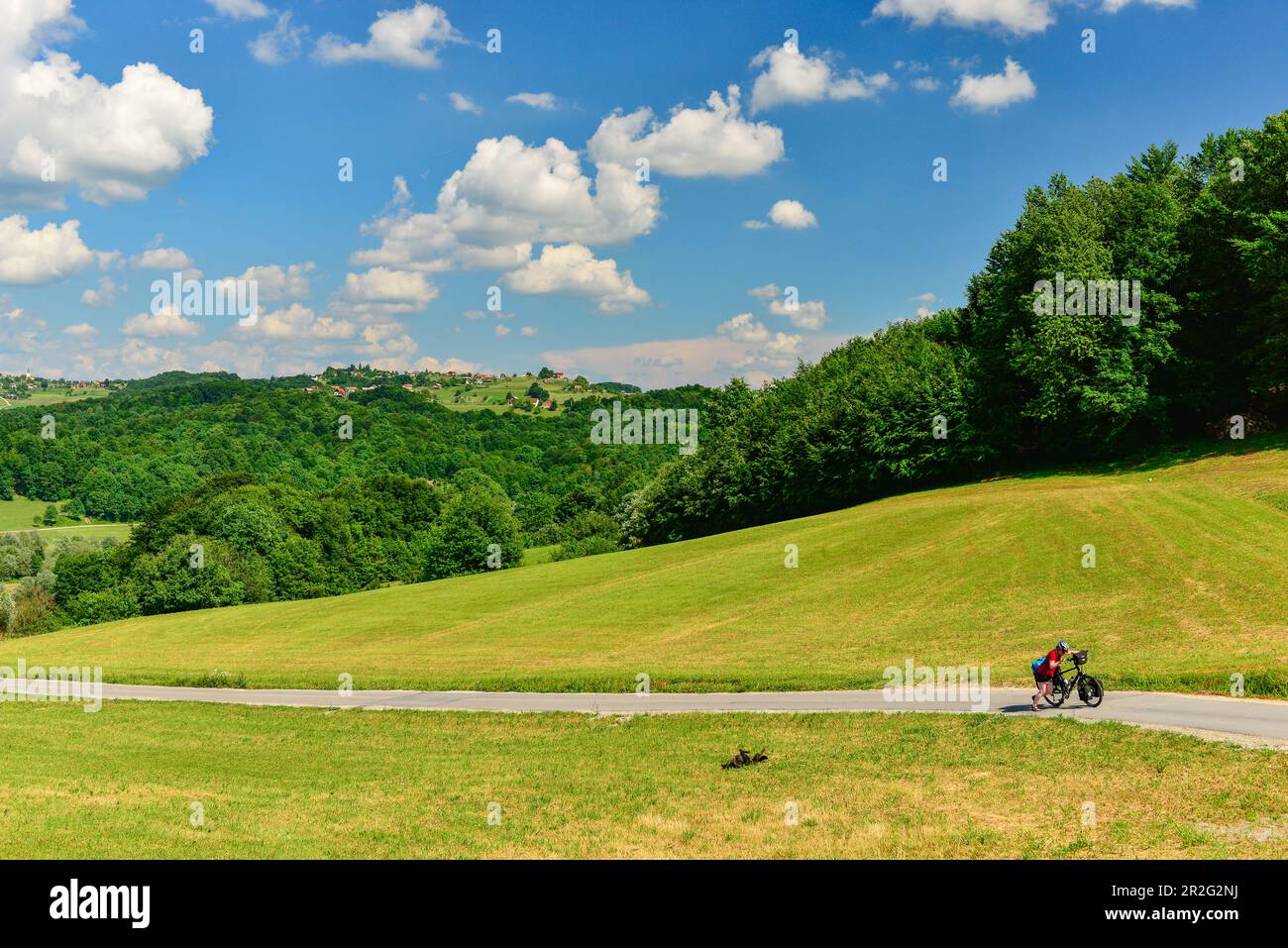 A cyclist pushes the fully loaded touring bike up an extremely steep ...