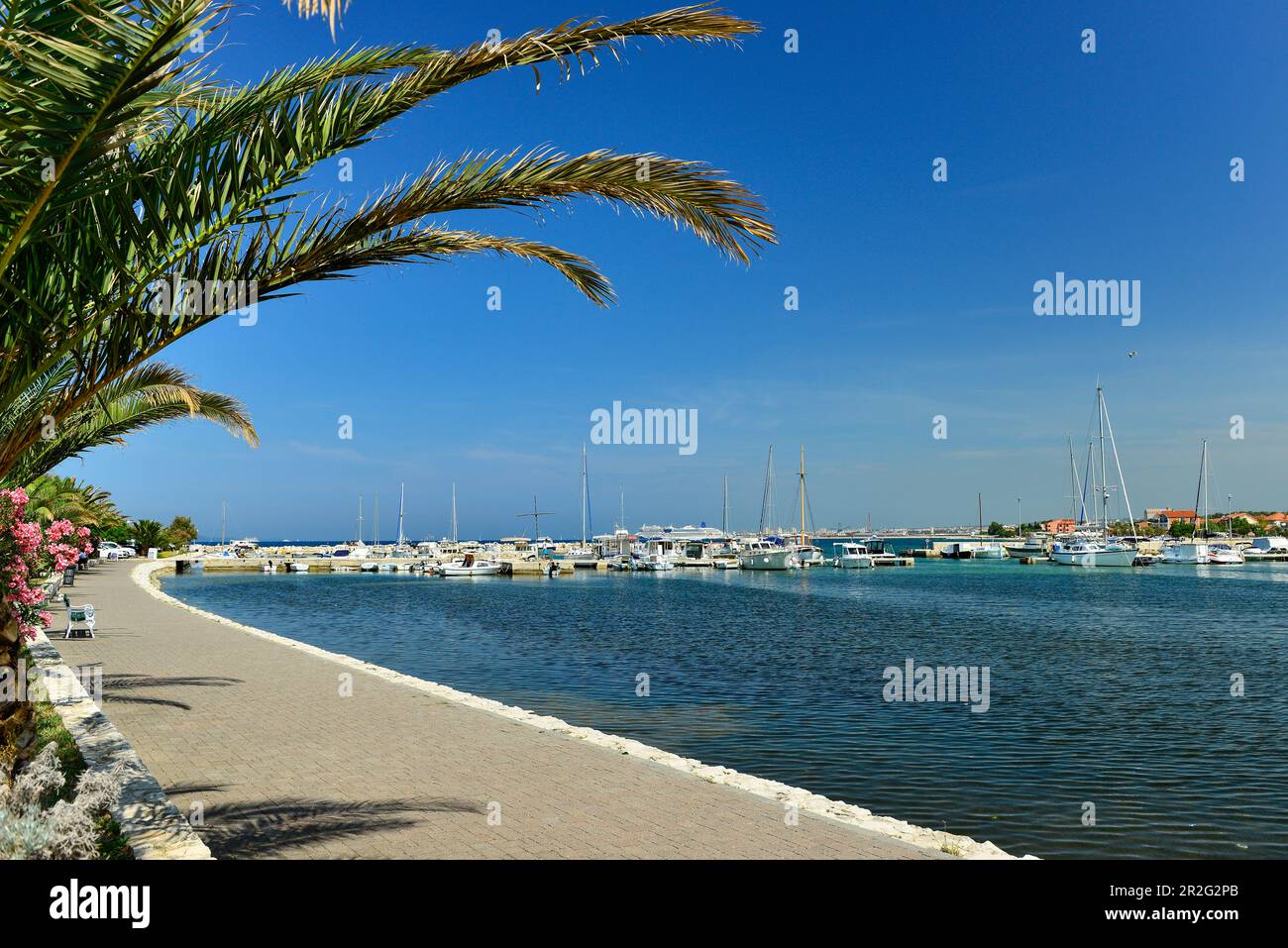 Marina with palm tree and promenade, Bibinje near Zadar, Croatia Stock ...