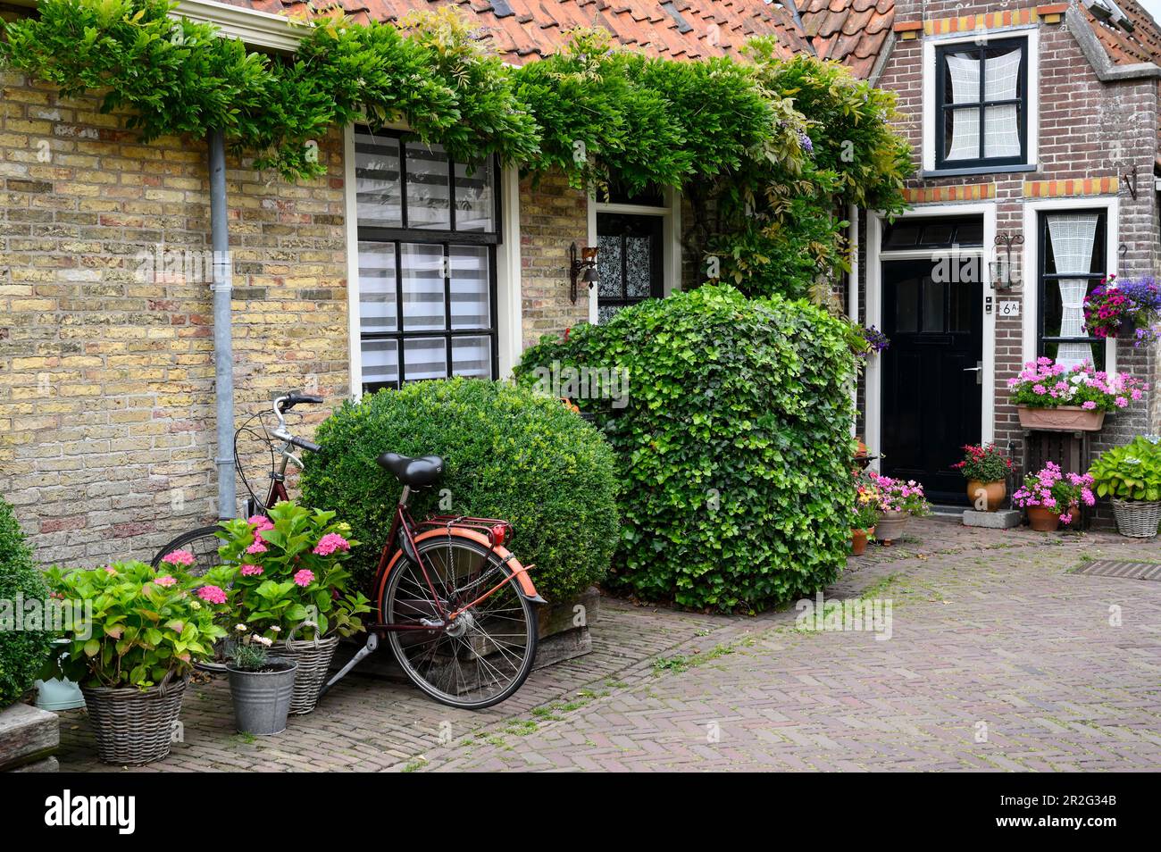 Oosterend, street scene, overgrown house front, Texel island, North Sea ...