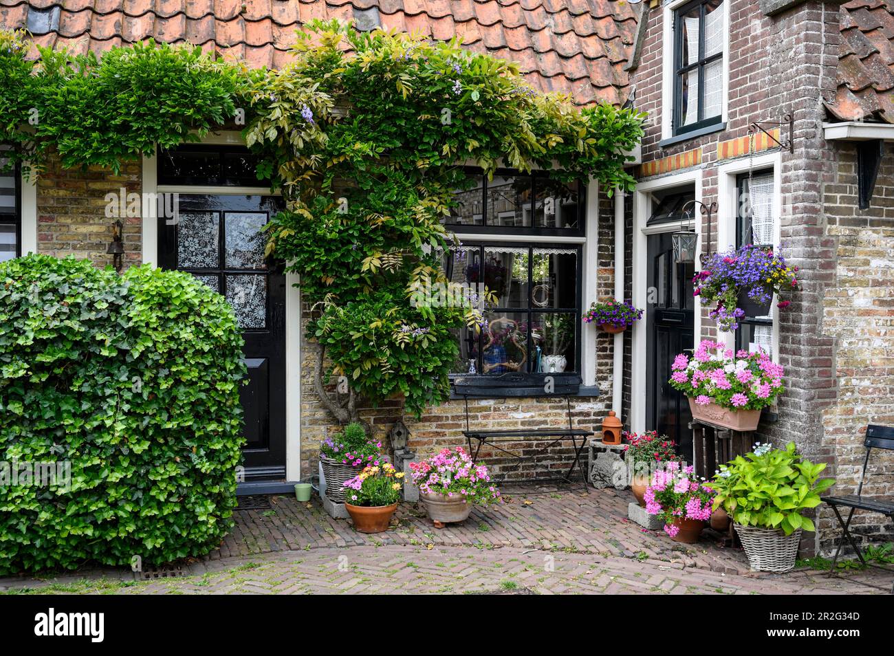 Oosterend, street scene, overgrown house front, Texel island, North Sea ...