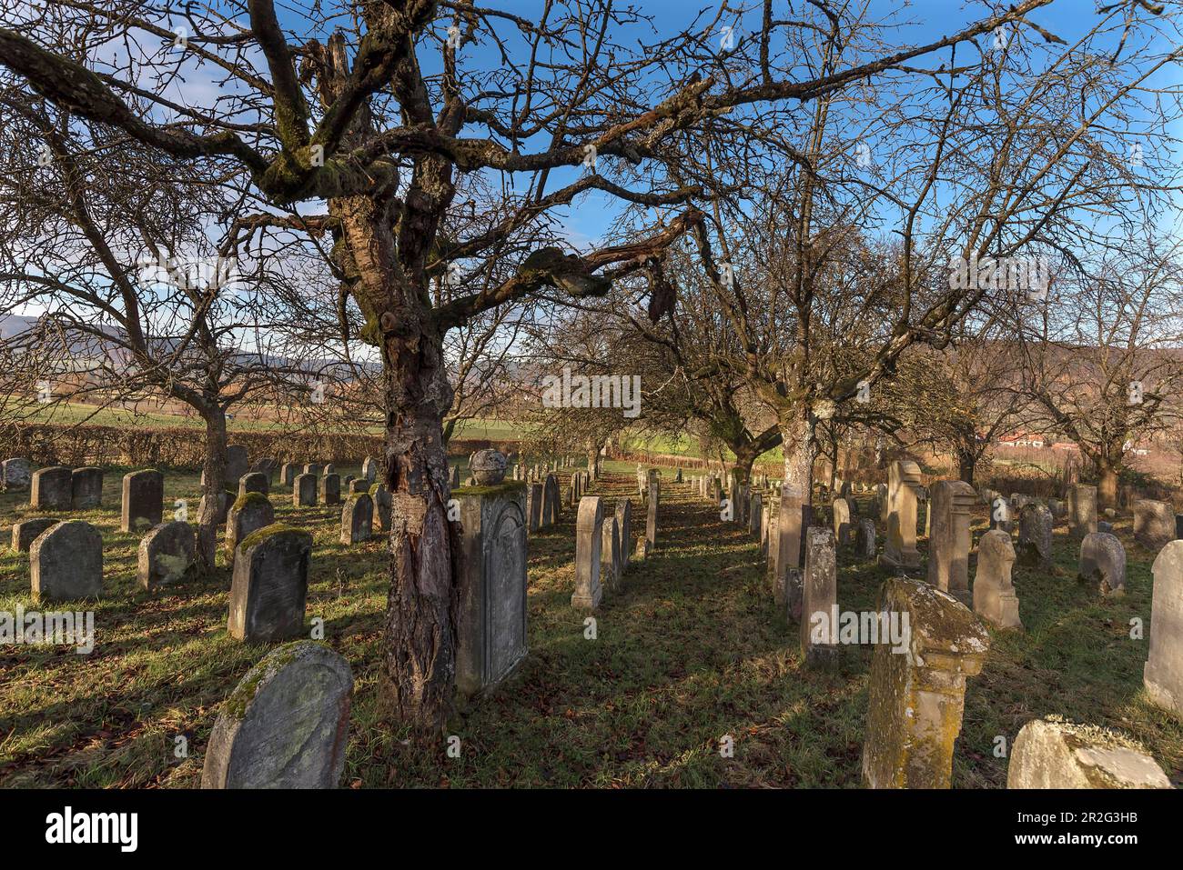 Historic Jewish cemetery, this burial place was occupied from 1737 to ...