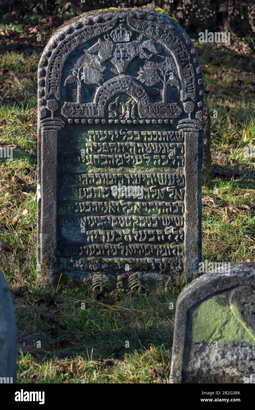 Jewish gravestone with symbols, historical Jewish cemetery, this burial ...