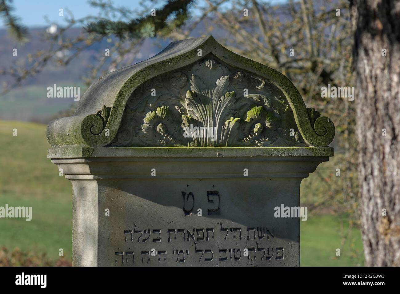 Jewish symbol on a gravestone, historic Jewish cemetery, this burial ...