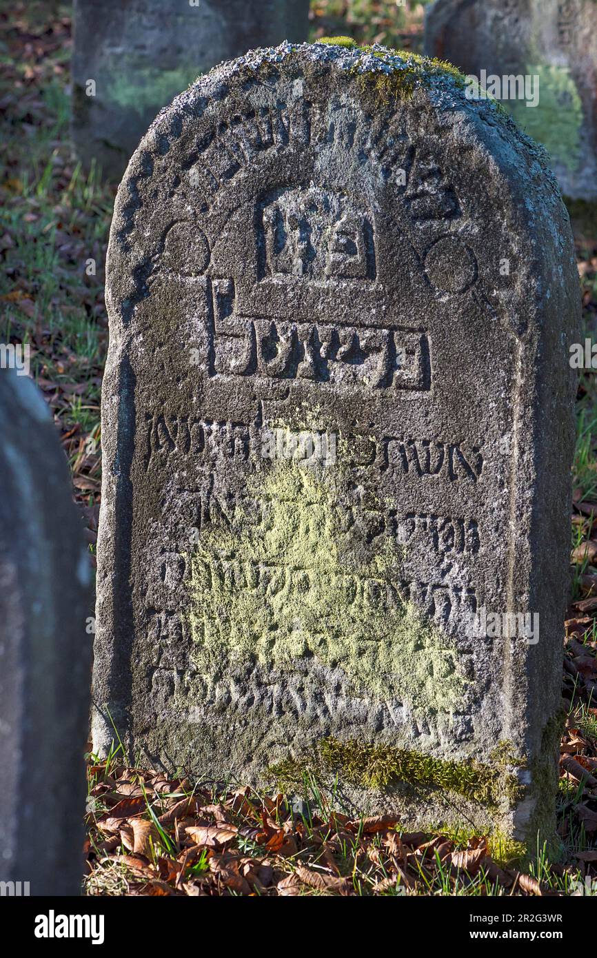 Jewish gravestone of the 18th century, historical Jewish cemetery ...