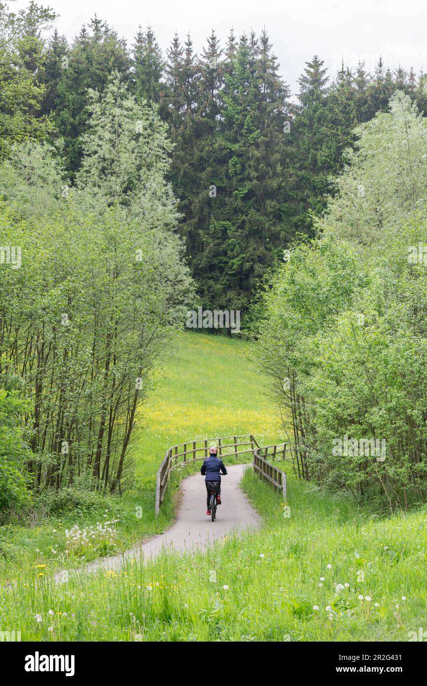Cyclist riding on cycle path through meadow in a forest with bridge ...