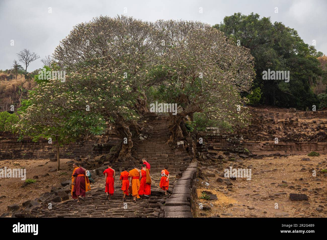 Monks at the Vat Phou Temple in Champasak, Laos, Asia Stock Photo - Alamy