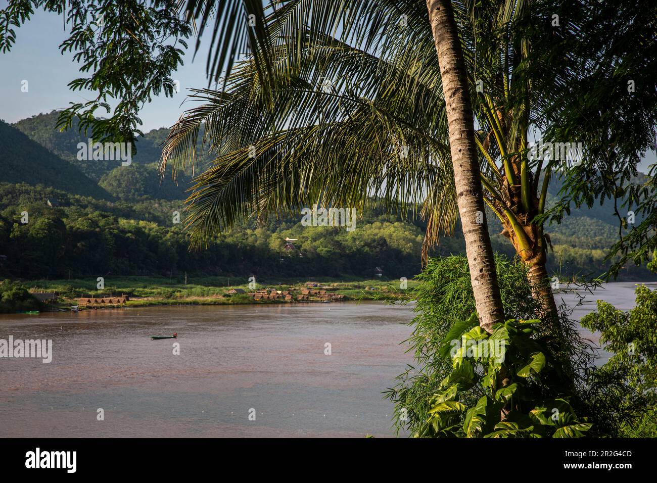 Mekong, Luang Prabang, Laos, north, Southeast Asia, Asia, river, palm ...
