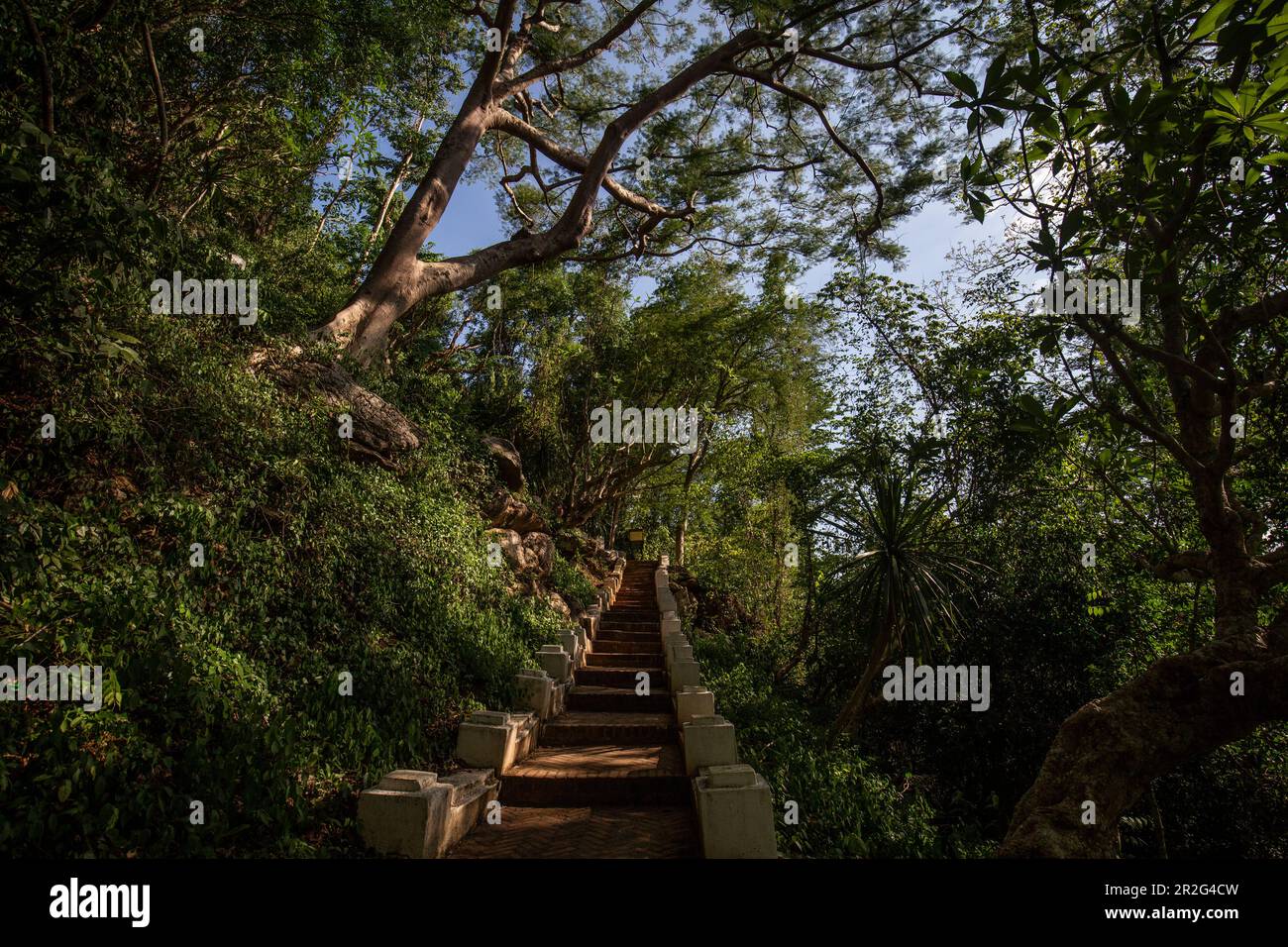 Hiking trail to Mount Phou Si in Luang Prabang, Laos, Asia Stock Photo ...
