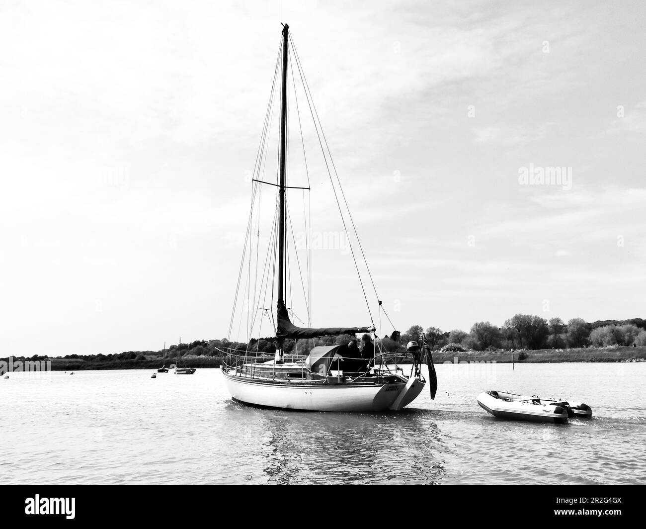 Leveret Black and White Stock Photos & Images - Alamy