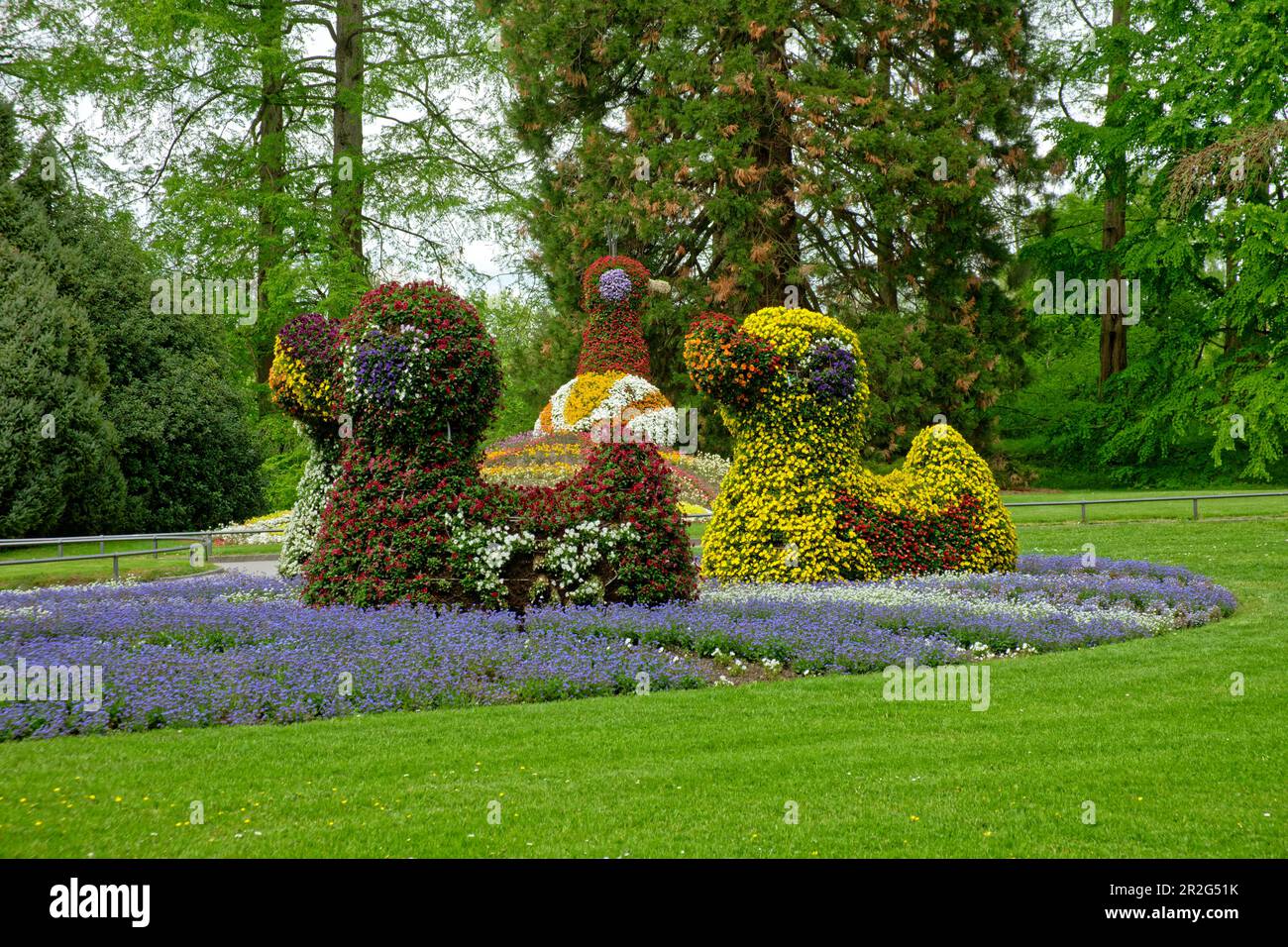 Ducks and peacock, flower sculpture, Mainau Island, Constance, Lake ...