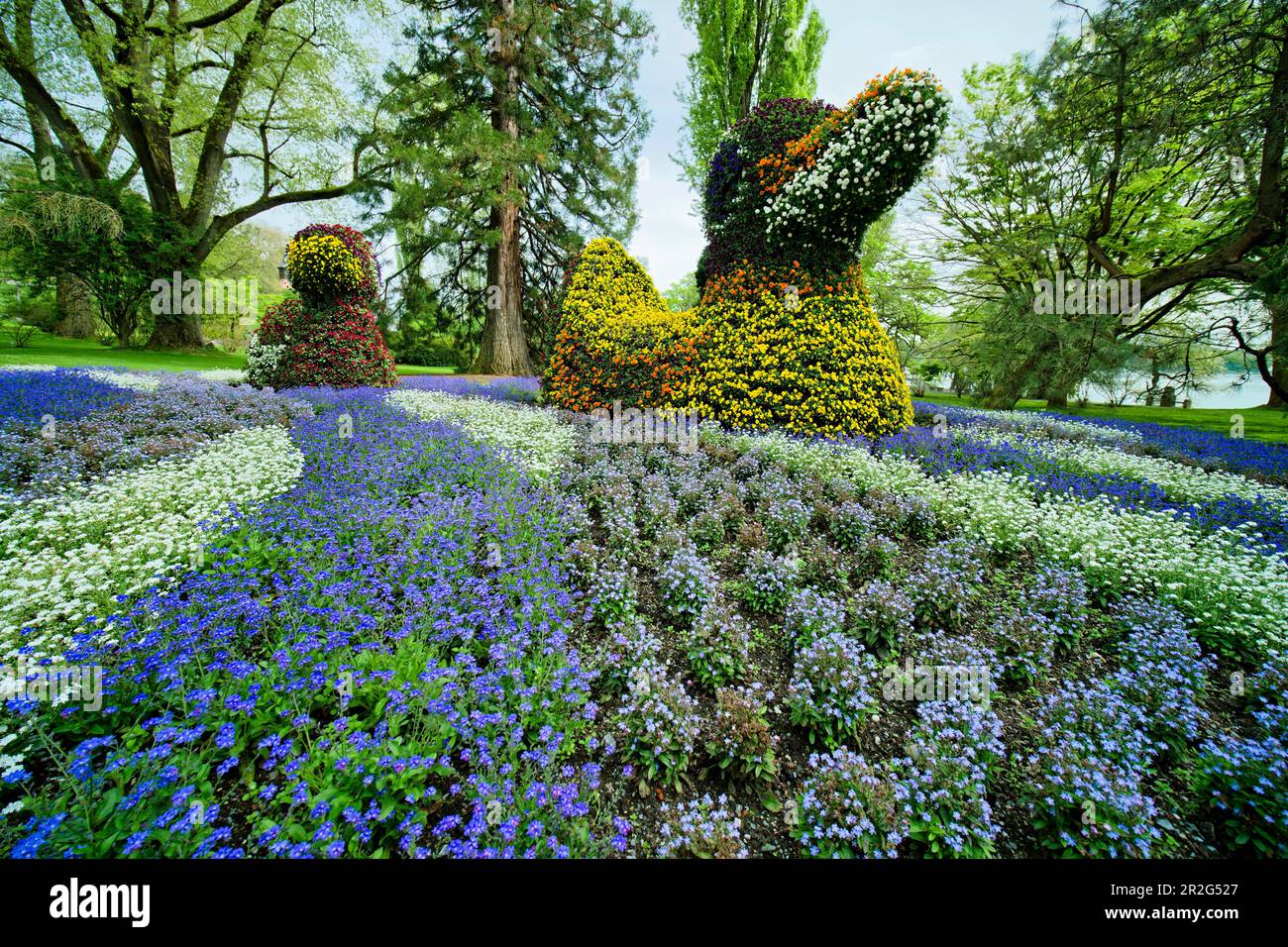 Ducks, flower sculpture, Mainau Island, Constance, Lake Constance ...