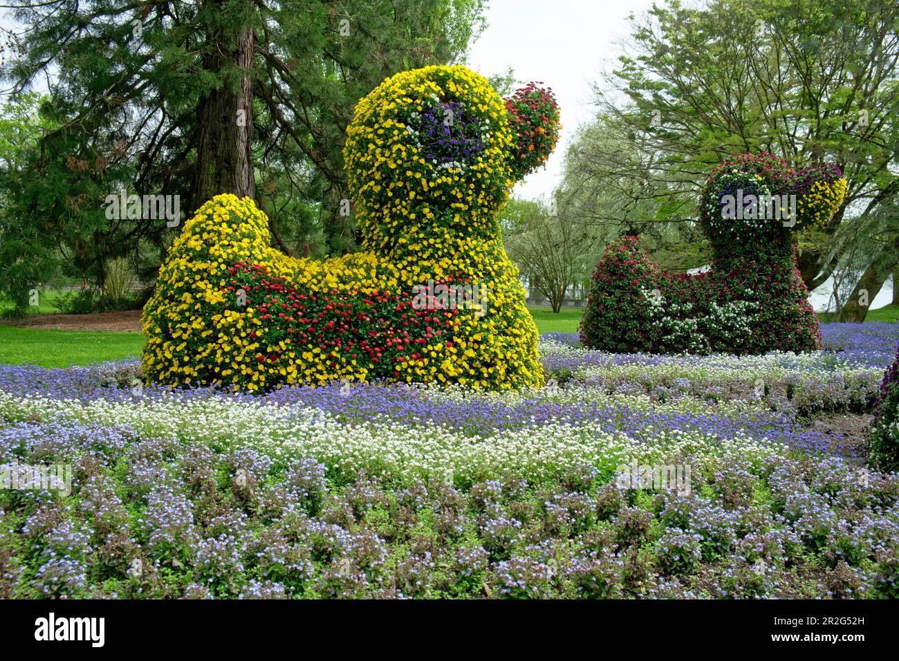 Ducks, flower sculpture, Mainau Island, Constance, Lake Constance ...