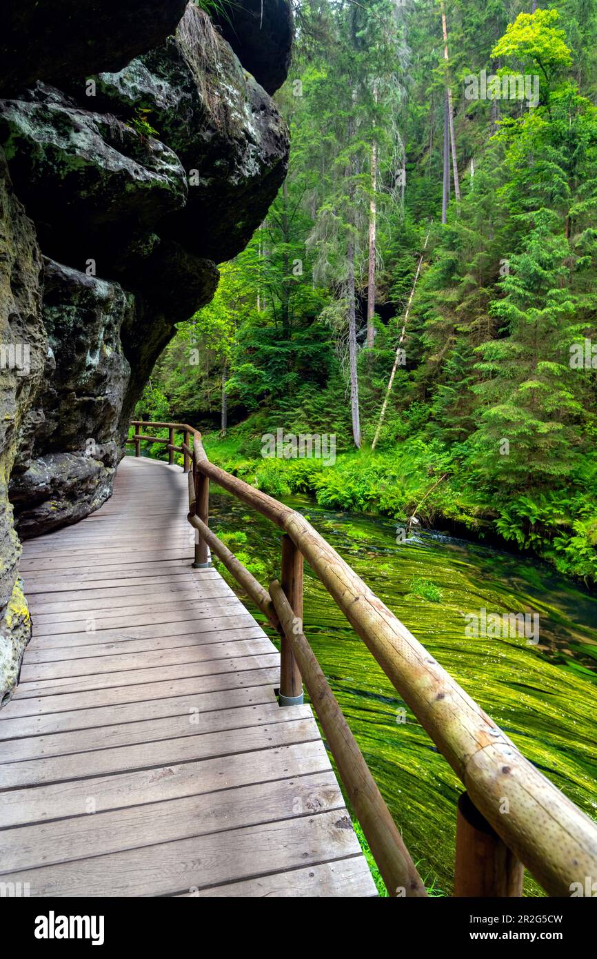 Kamnitz, Fluss, Steg, Wanderweg, Mezni Louka, Nationalpark, Böhmische ...