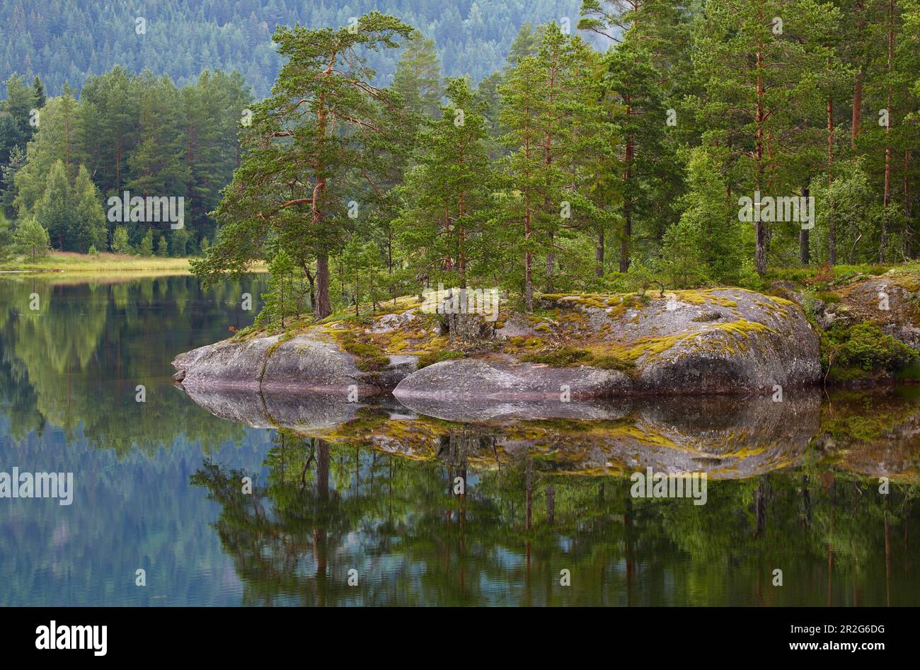 Stone landscape on the river Otra at Honnevje bathing place, Valle ...