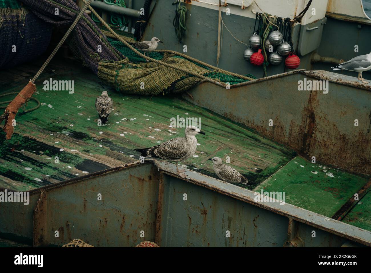 Commercial fishing vessel drag net hi-res stock photography and images ...