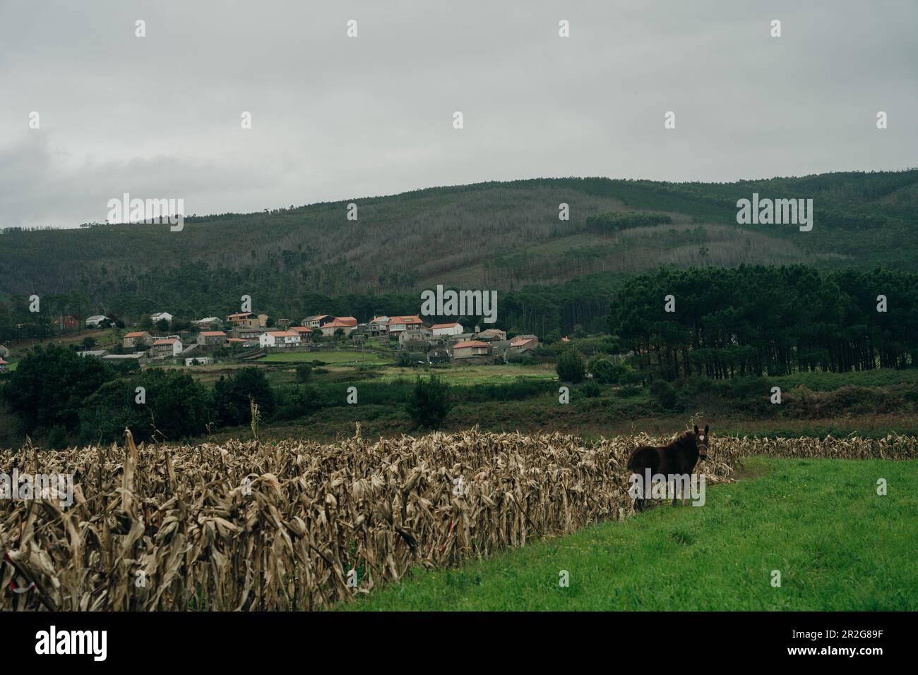 Northern spain agricultural land hi-res stock photography and images ...