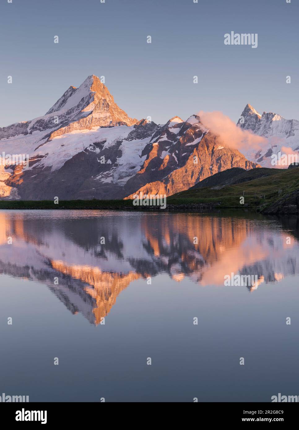 Schreckhorn, Bachalpsee, Bernese Oberland, Switzerland Stock Photo - Alamy