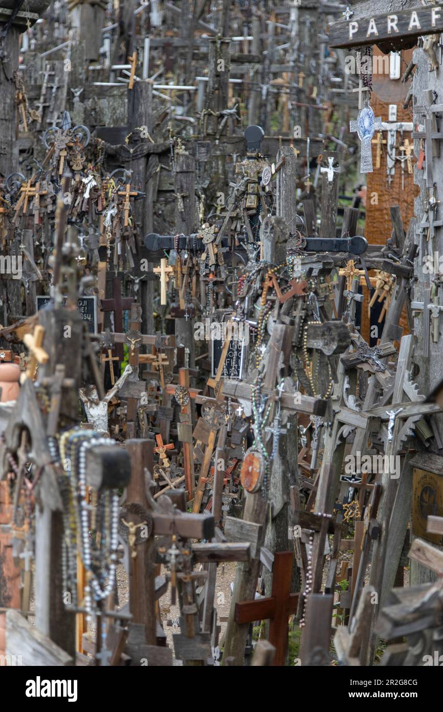 Lots of Christian crosses, crucifix. mountain of crosses. Schaulen ...