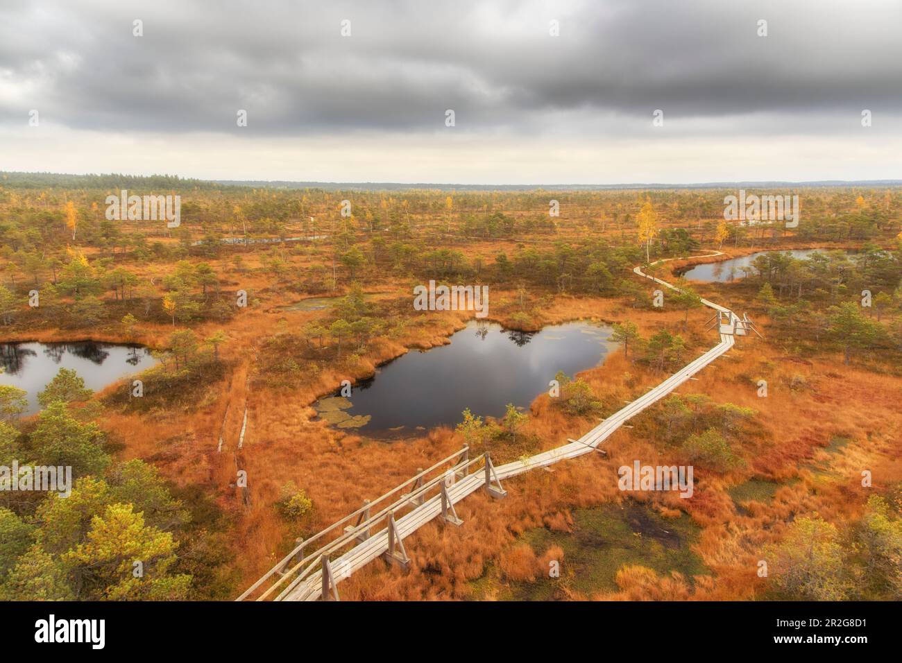 Bog lake, autumn colors Sandra, Viljandi, Estonia. reflection in the ...