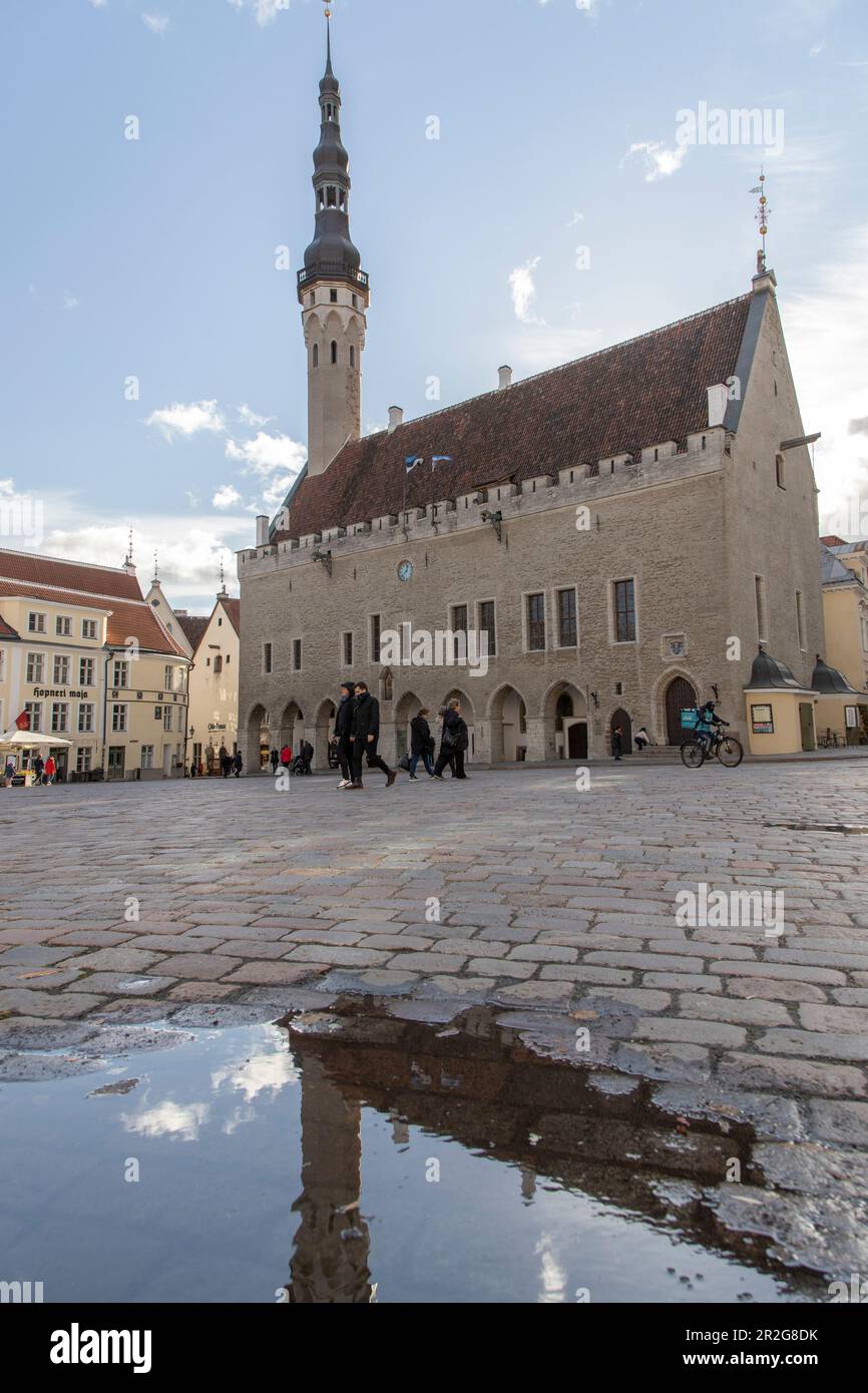 Tallinn Town Hall Square. puddle in the foreground. Reflection. Estonia ...