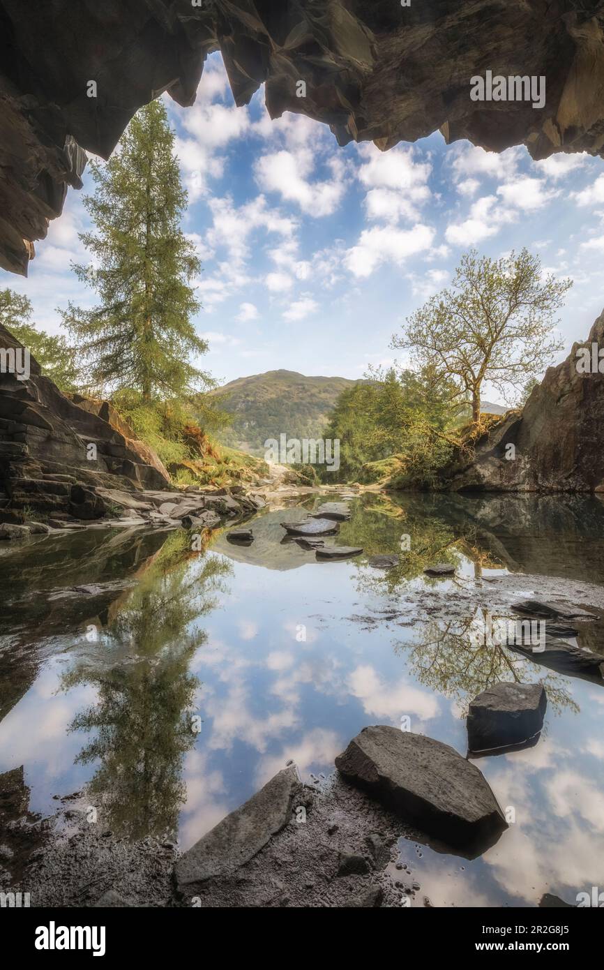 Looking out of the cave, Rydal Cave, Lake District, England, UK. trees ...