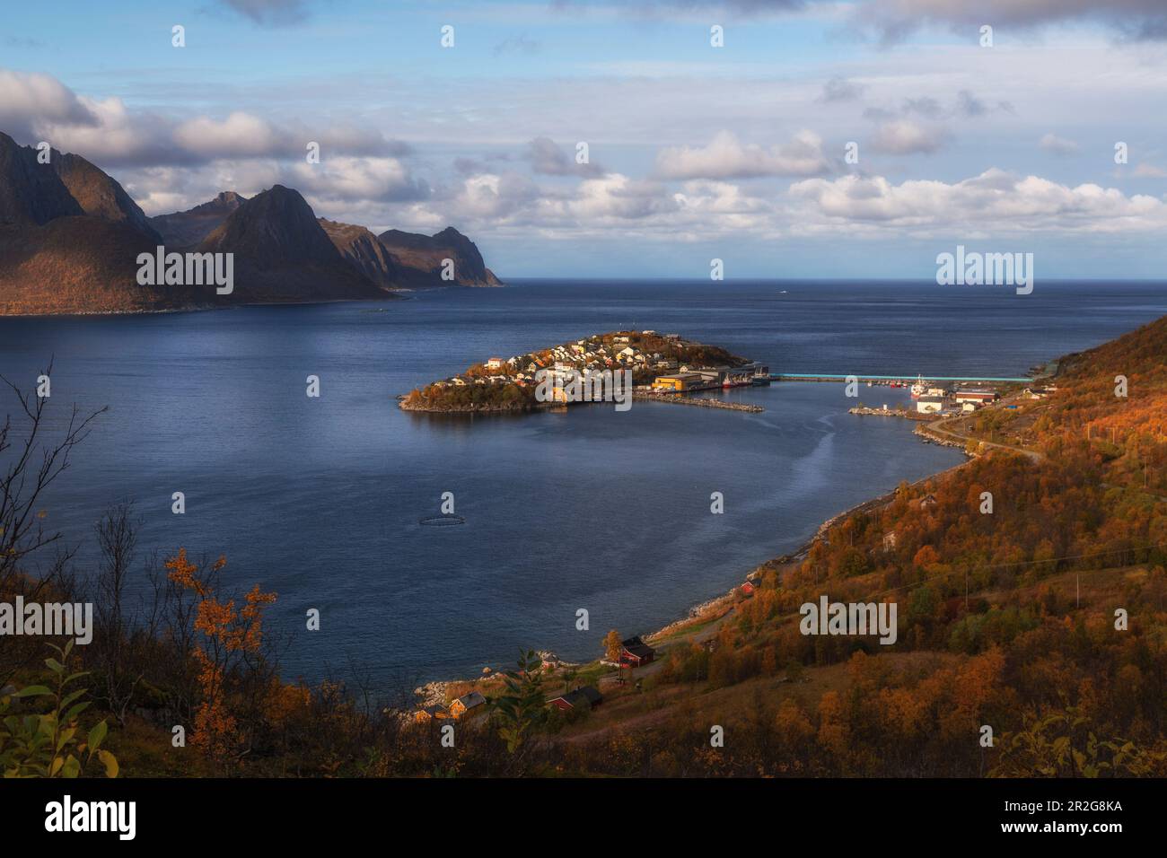 View of Husoy island in fjord, Senja, Norway. fall colors Stock Photo ...