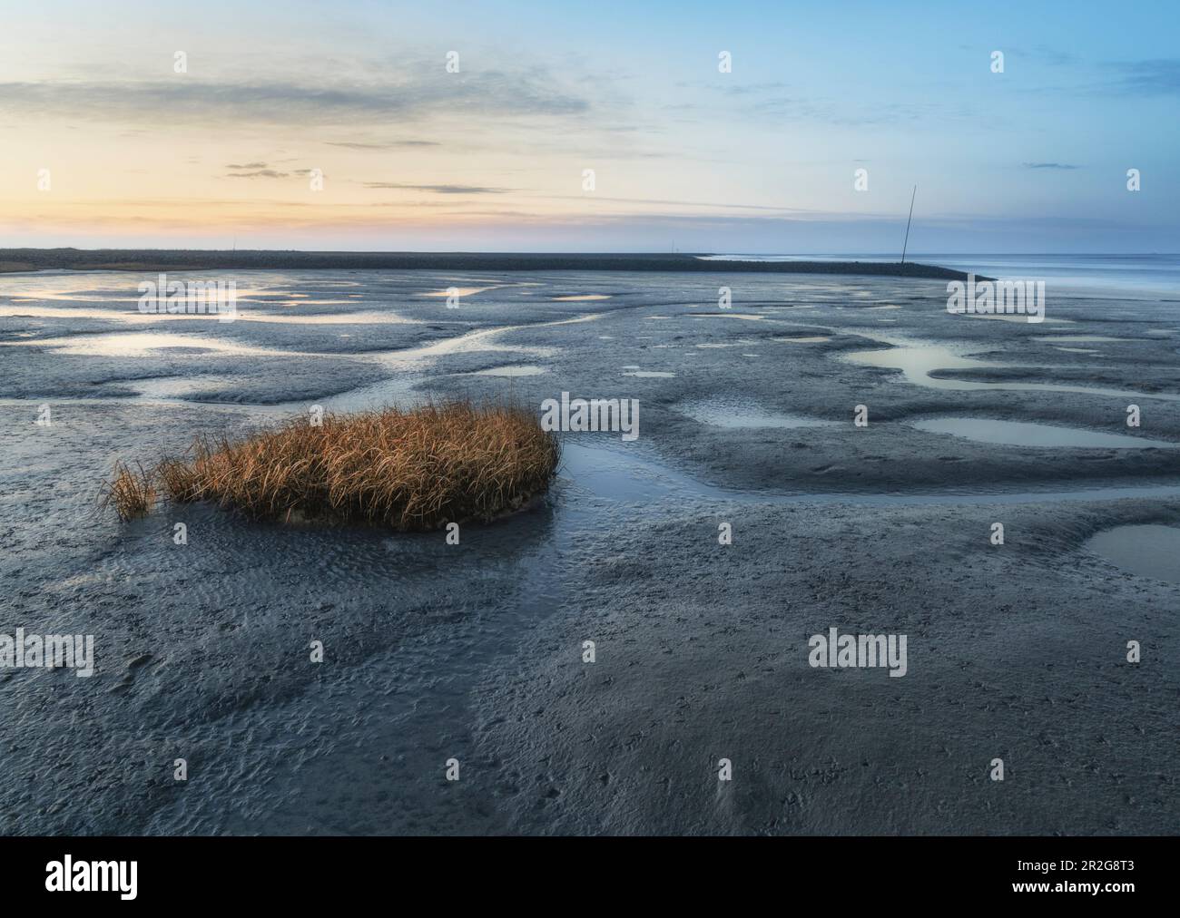 Langwarder groden hi-res stock photography and images - Alamy