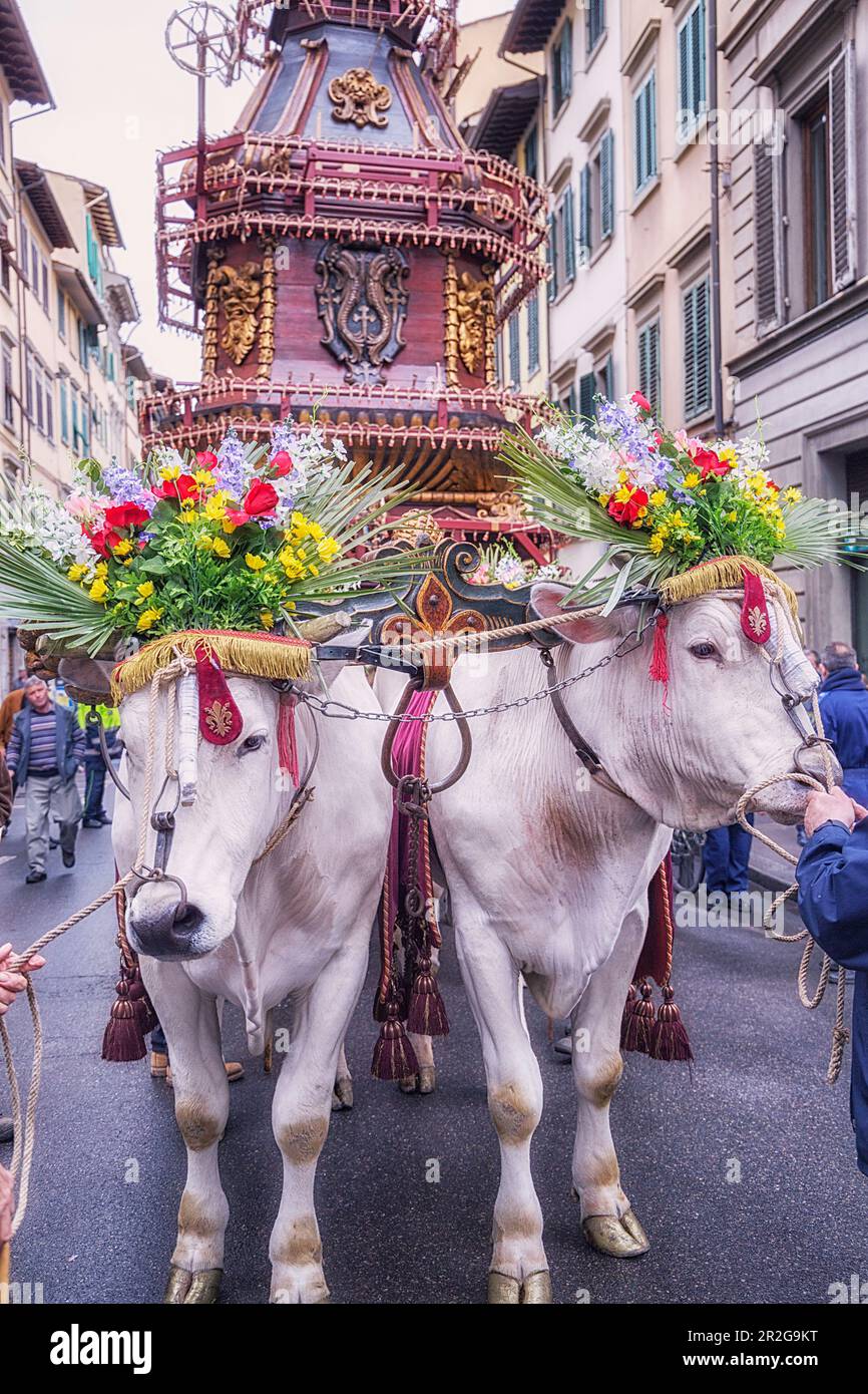 Explosion of the Cart festival parade, Florence, Tuscany, Italy Stock ...