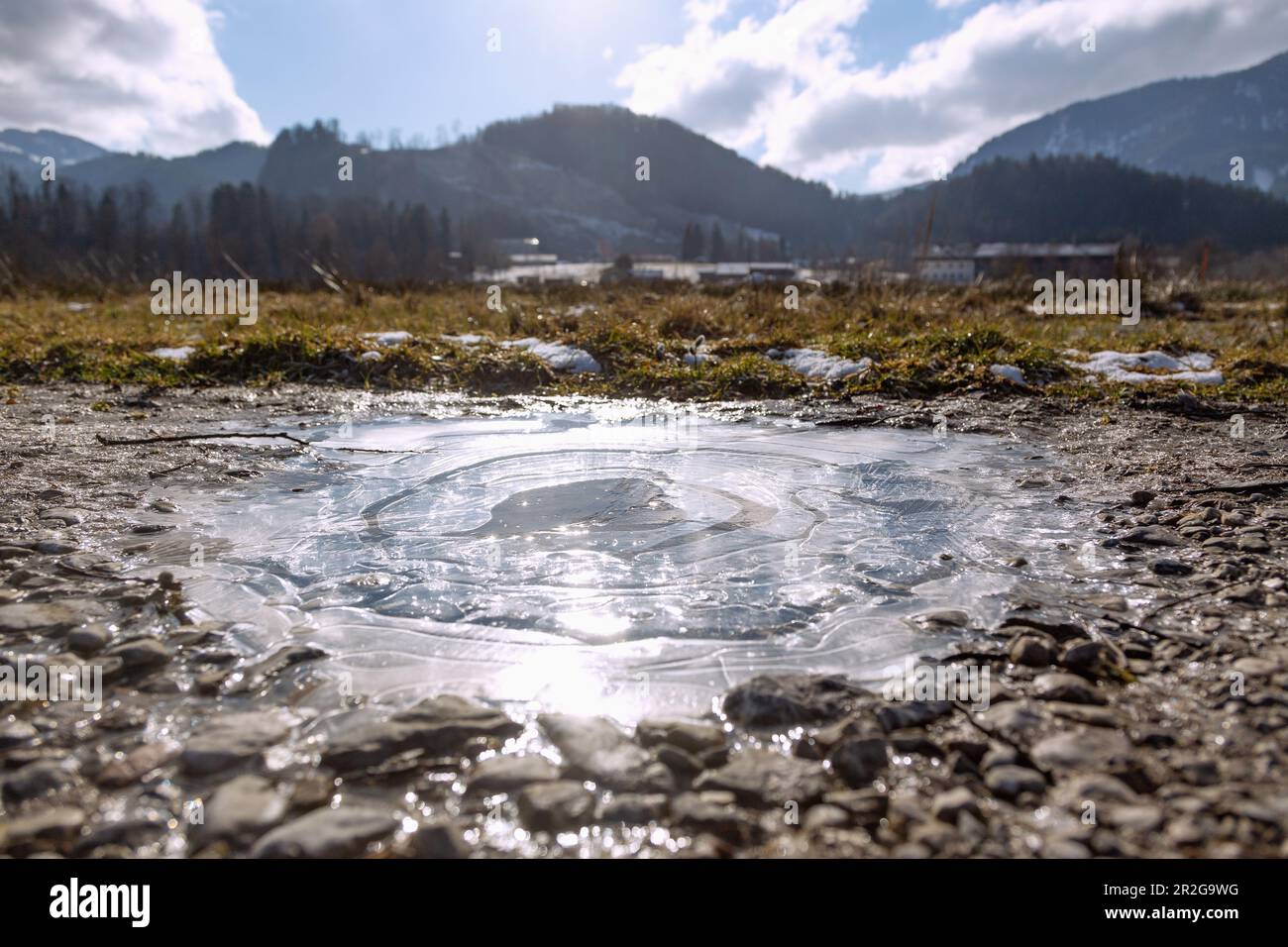 frozen puddle with a view of the Alps near Fischbachau in Upper Bavaria ...