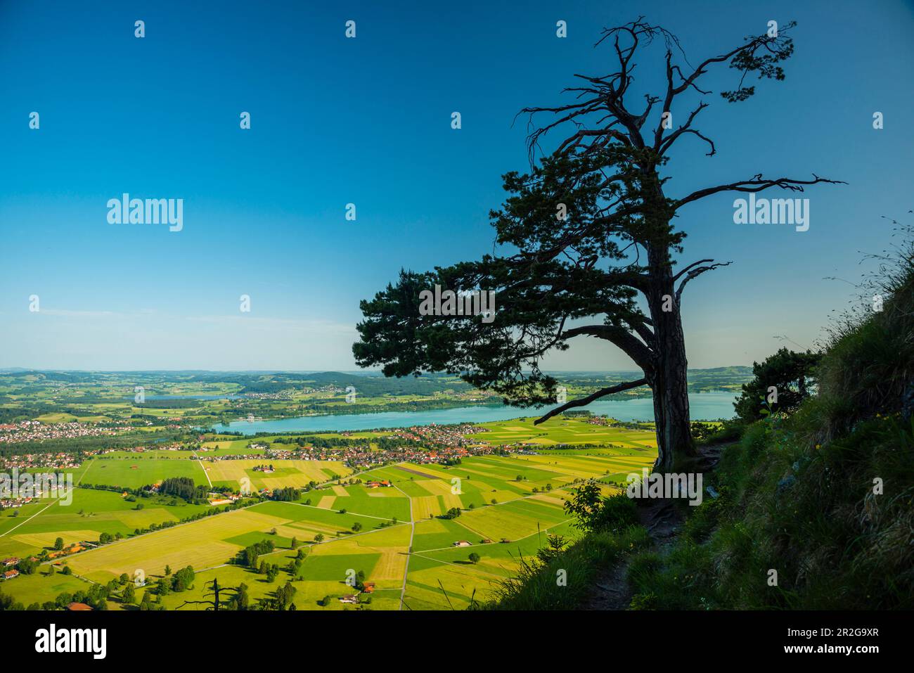 Panorama from the Tegelberg massif, Fussen, Waltenhofen, Forggensee and ...