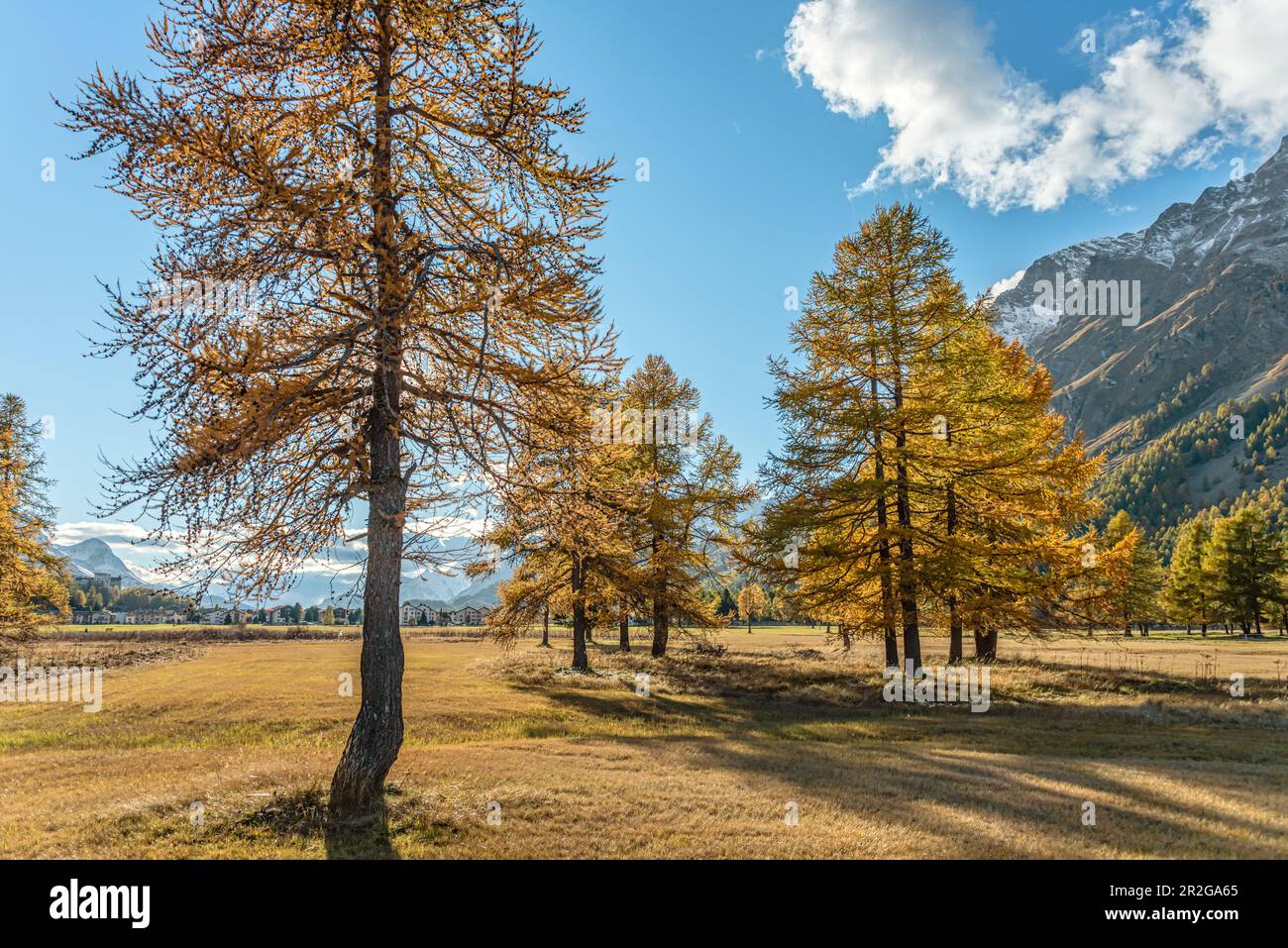 Autumn landscape at Lake Silvaplana, Engadin, Graubünden, Switzerland ...