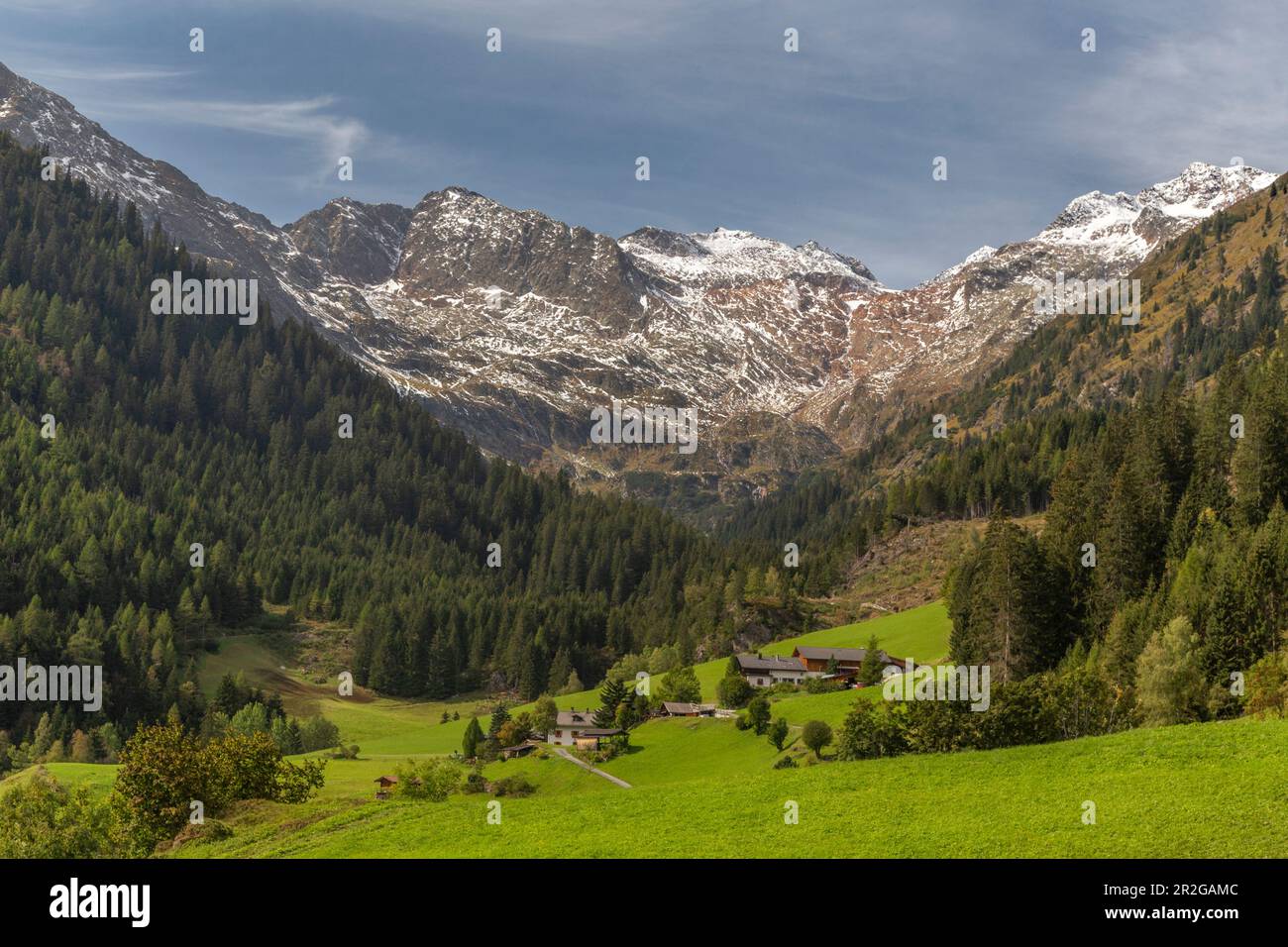 Valley in the Alps with farm, Brenner, Bolzano, South Tyrol, Italy ...