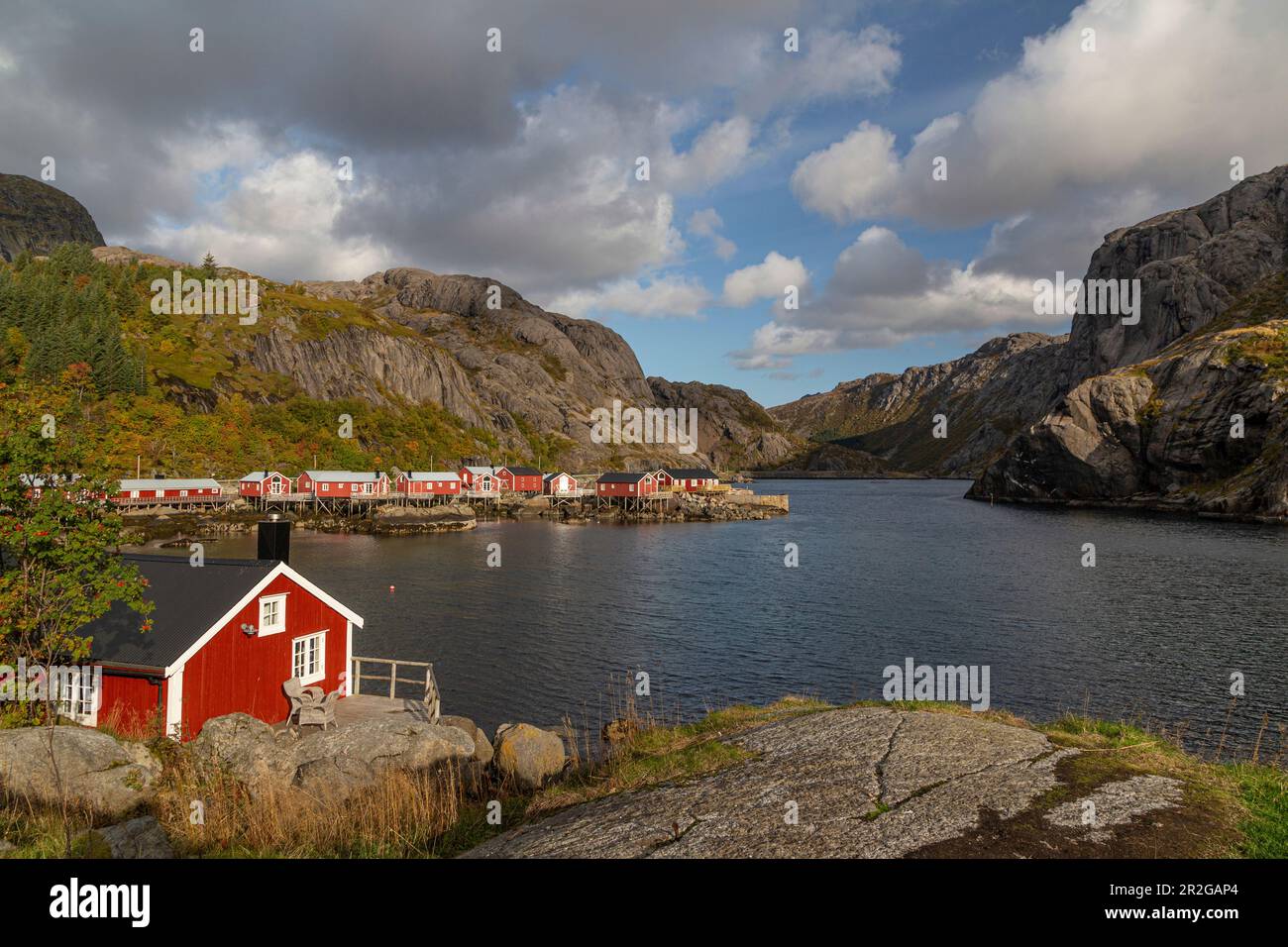 Red huts on the shore of fjord, Nusfjord, Flakstad, Lofoten, Norway ...