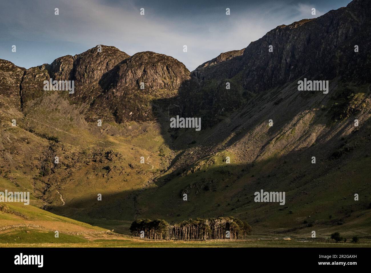Small clump of trees at the end of Lake Buttermere in front of Bergen ...